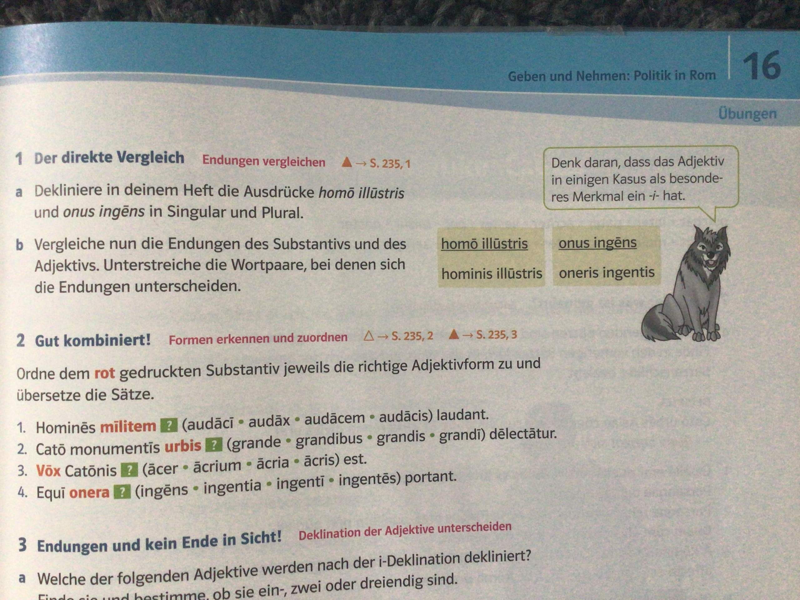 Hallo,könnte mir jemand bei 1a helfen? (Hausaufgaben, Latein)