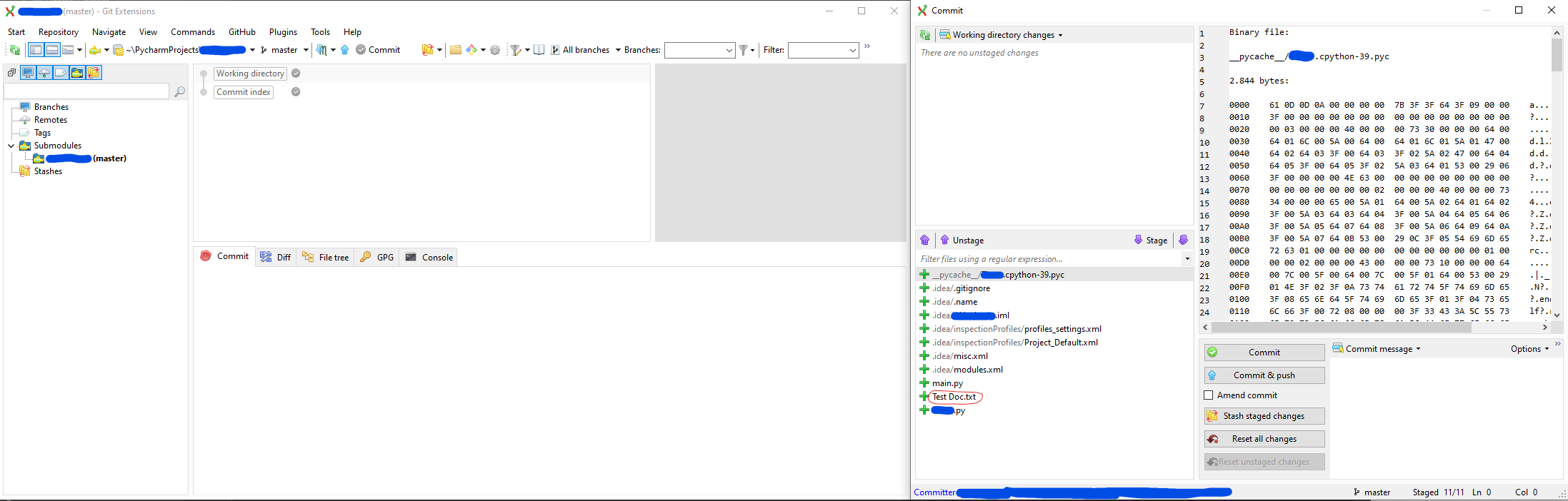 Hat Git Ext. Probleme mit python files? (Programmiersprache, github)