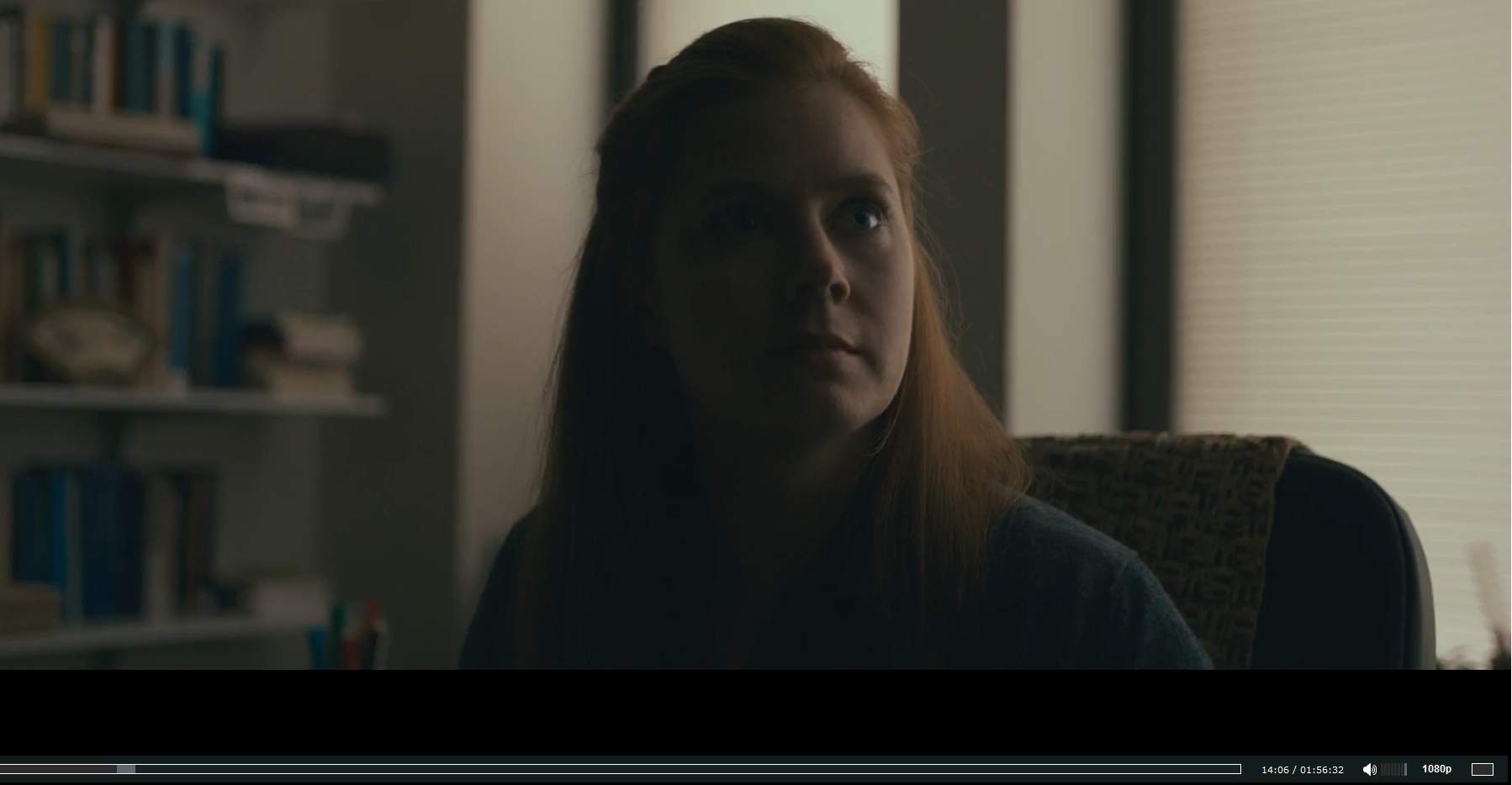 Hat jemand den Film Arrival gesehen - ist es normal, dass er so dunkel ...