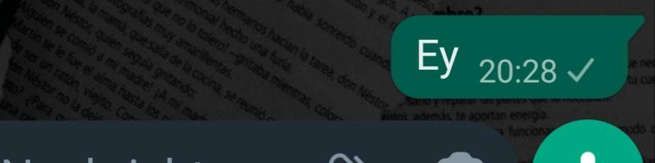 Heißt es, dass er mich auf WhatsApp blockiert hat? (App, Nachrichten)