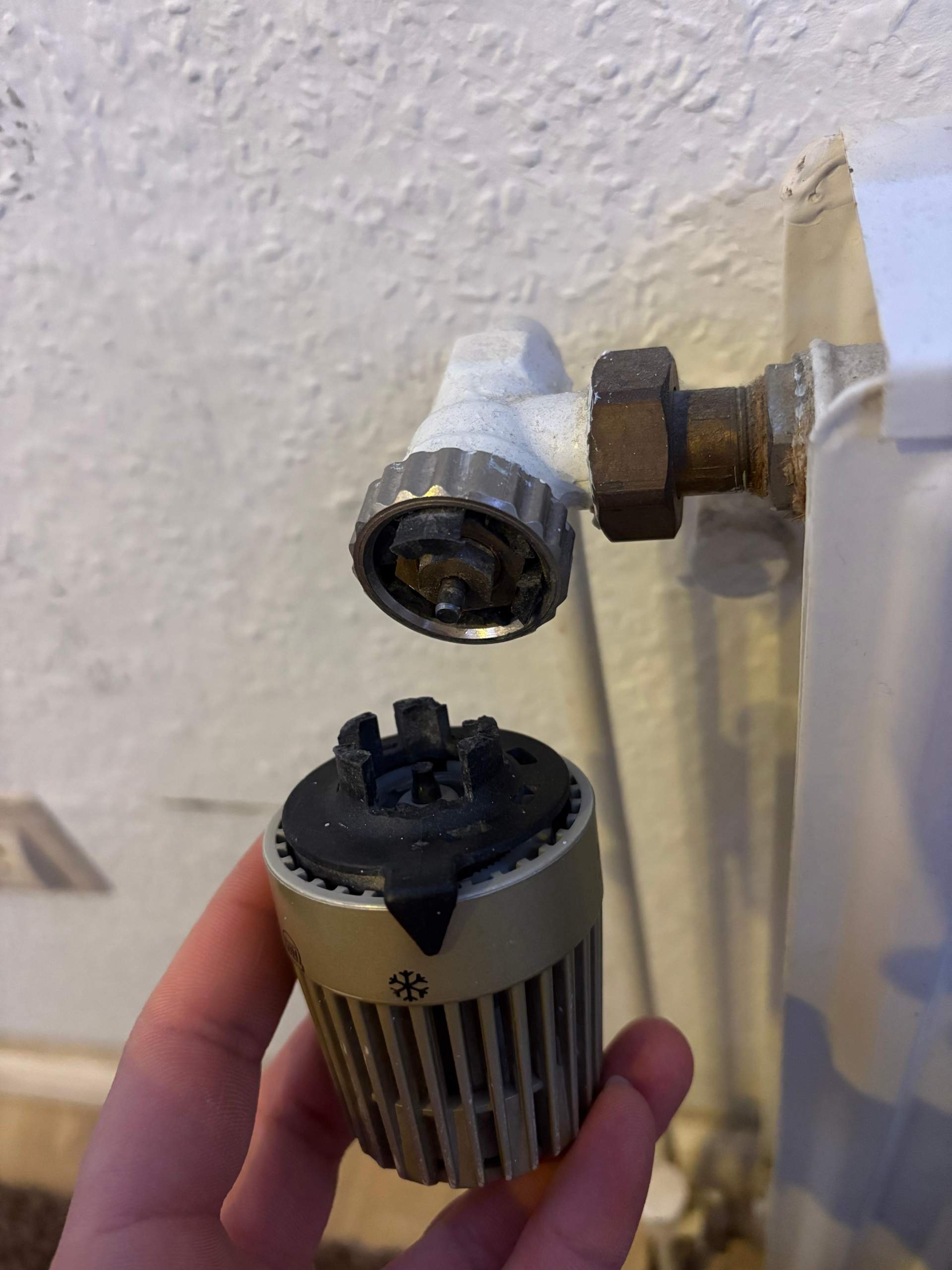 Thermostat Kaputt Heizung Hei