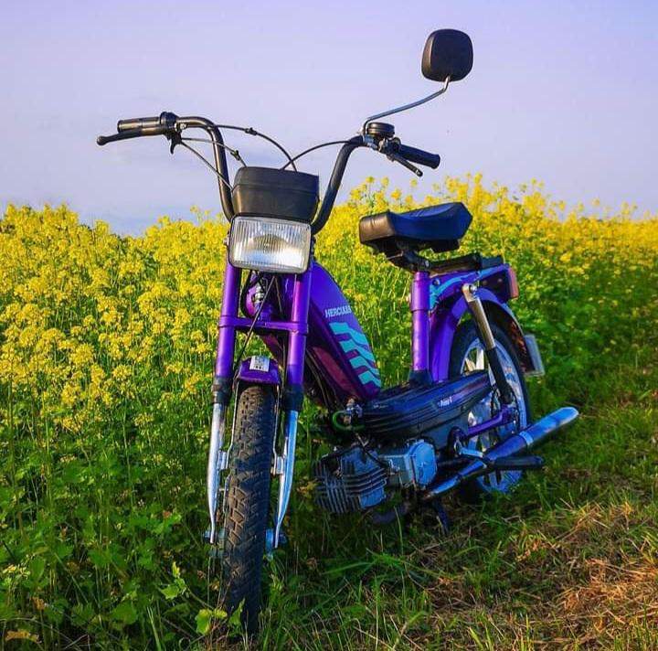 Hercules Prima 4? (Mofa)