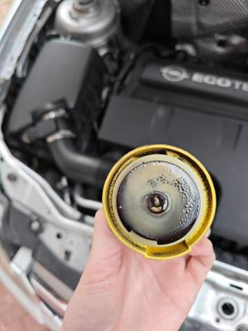 Hilfe? (Motor, Werkstatt, TÜV)