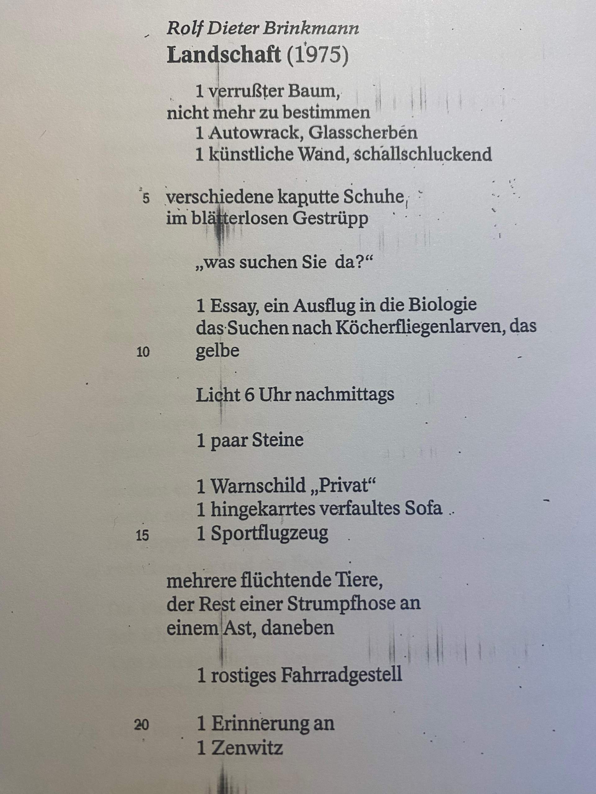 Hilfe bei dem Gedicht? (Schule, Deutsch, Hausaufgaben)