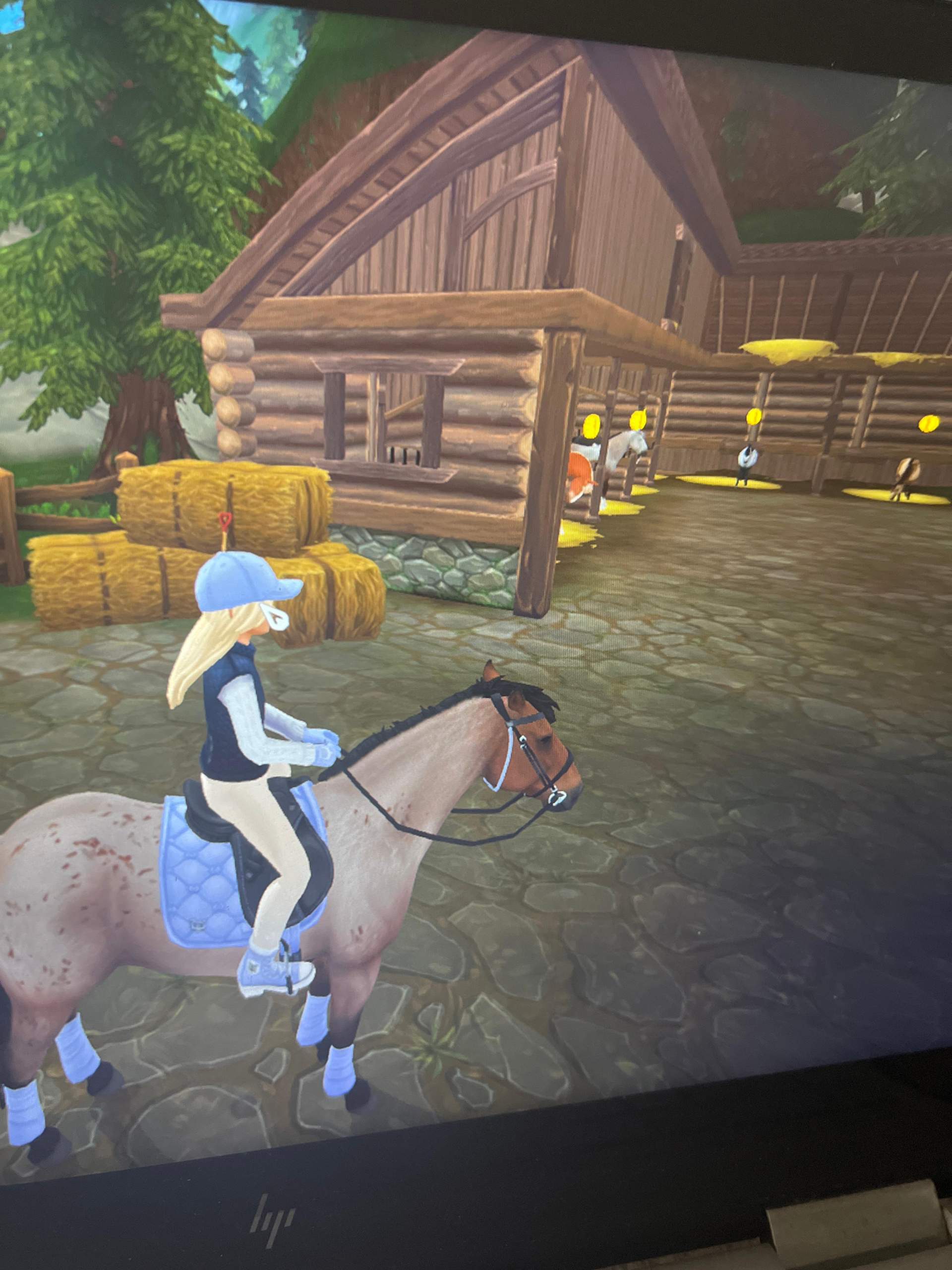Hilfe bei SSO? (PC, Computerspiele, Star Stable)