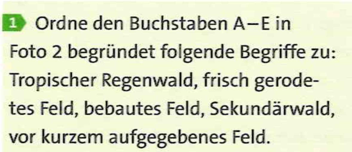 Hilfe in erdkunde? (tropen, wanderfeldbau)