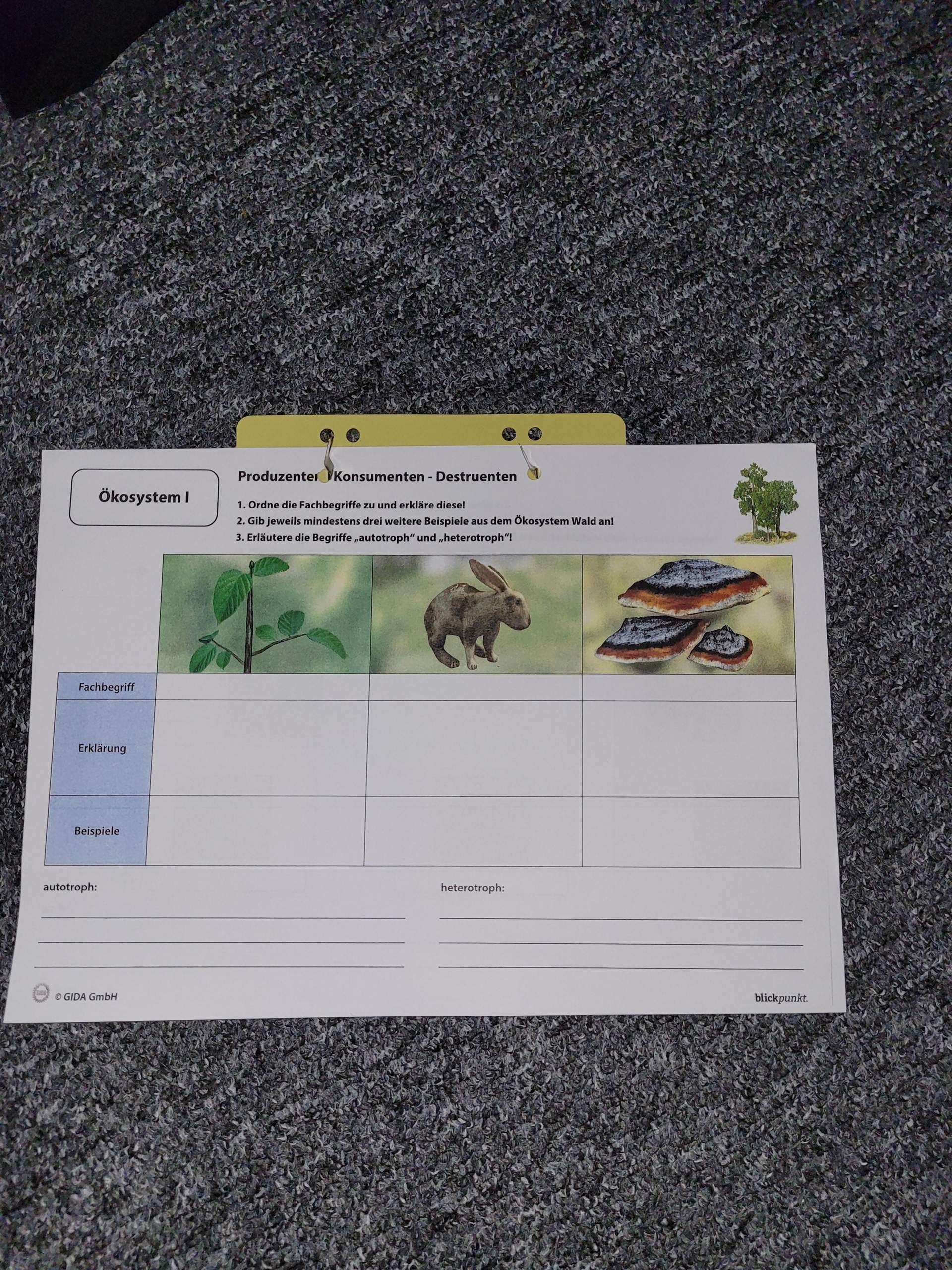 Hilfe Produzenten Konsumenten? (Pflanzen, Ökosystem)