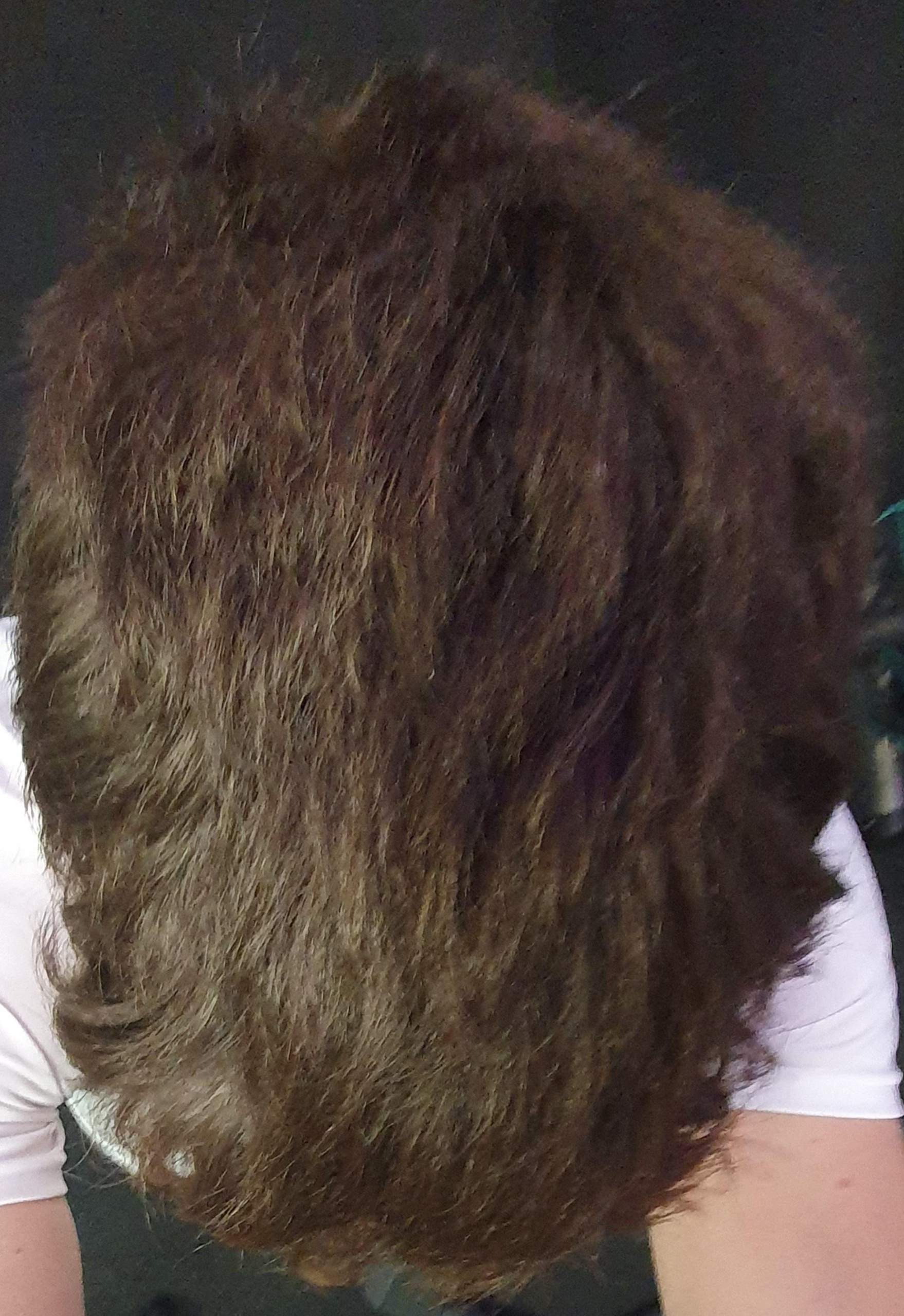 Hilfe warum sehen meine Haare so aus und was kann ich tun? (Jungs ...