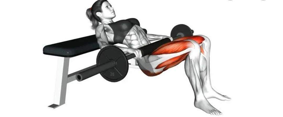 Hip thrust Übung? (Sport und Fitness, Muskelaufbau)