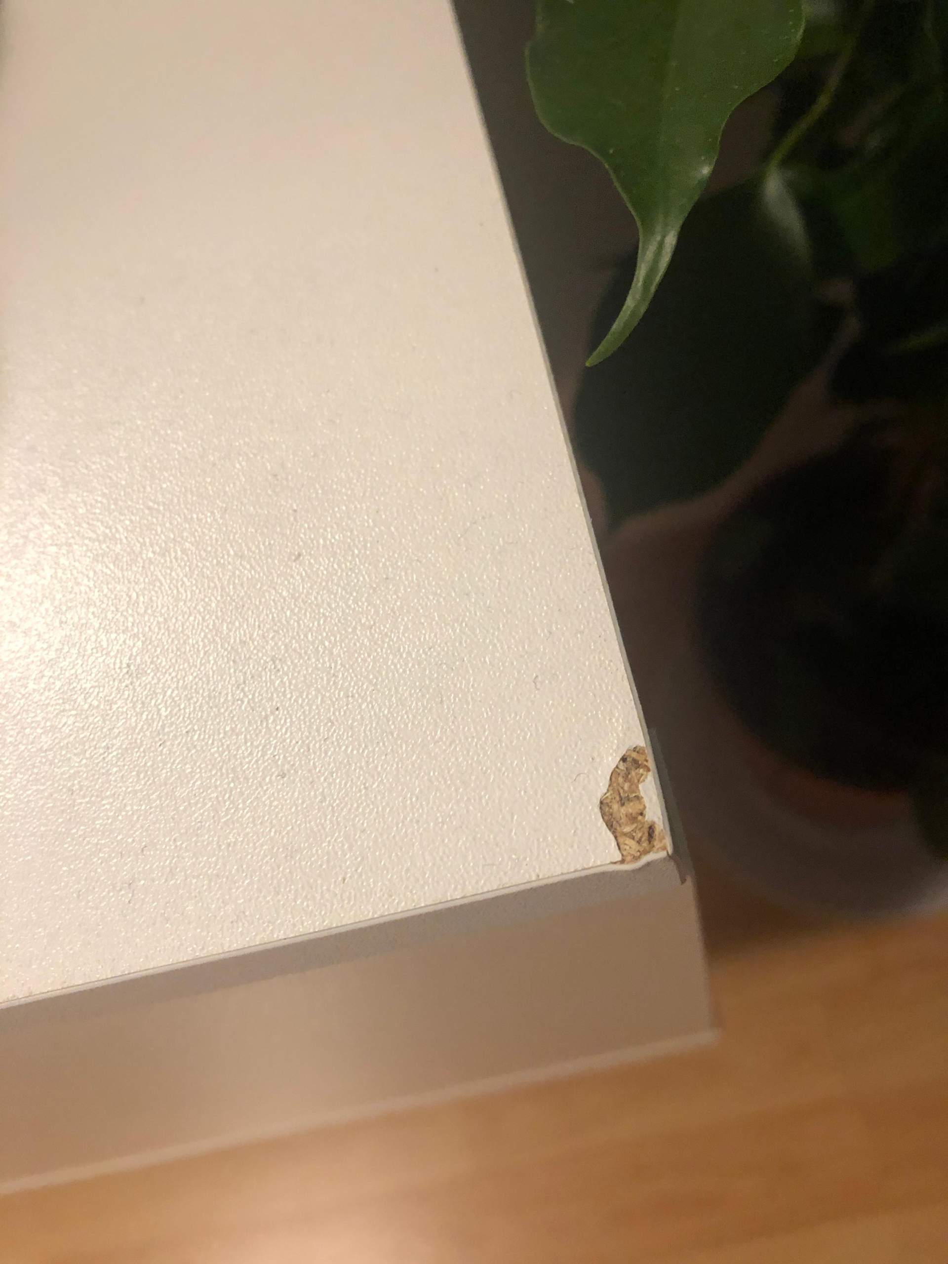 Holz abgesprungen/fleckig? (Handwerk)