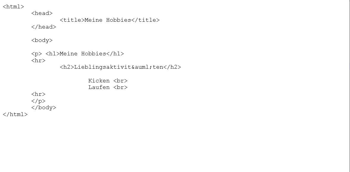 HTML über Notepad++ programmieren funktioniert nicht? (Computer, Informatik)