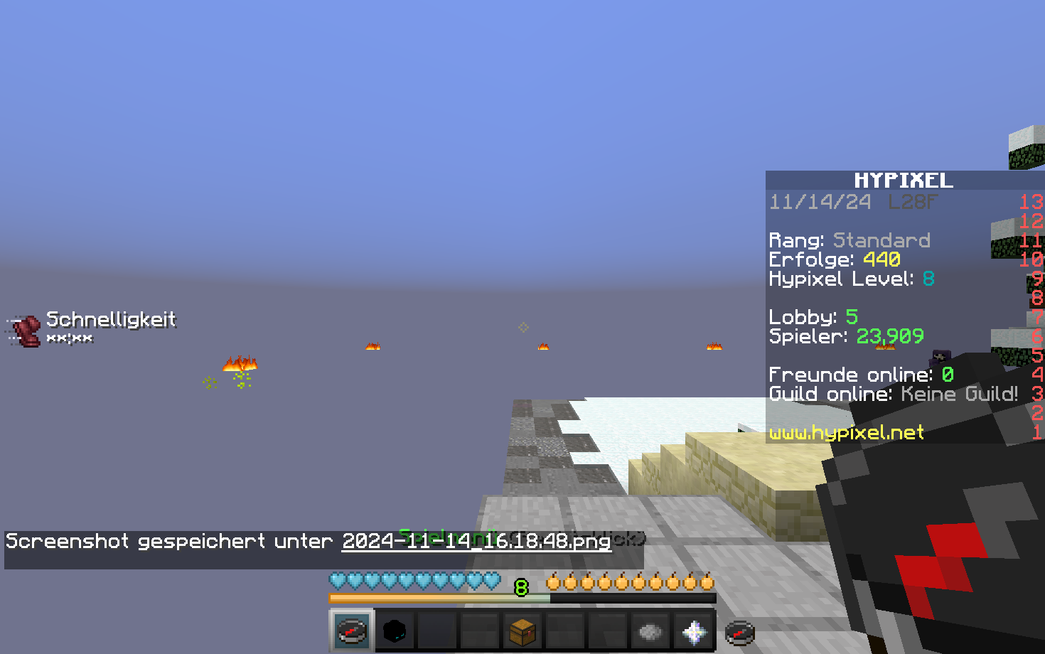 Hypixel Server lädt nicht? (PC, Computerspiele, Multiplayer)