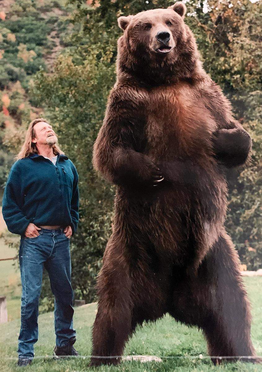 In welches Tier würdet ihr euch gerne verwandeln können? (Fantasy ...