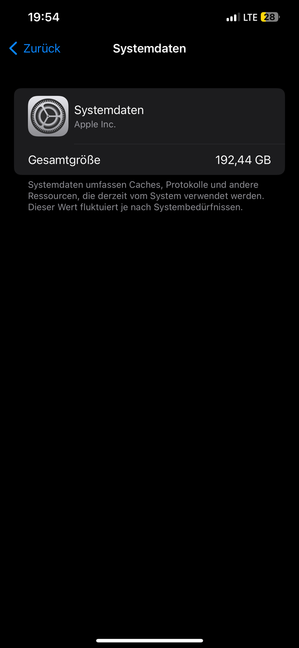 iOS nimmt 198 gb systemspeicher ein? (Apple, iPhone, iPad)