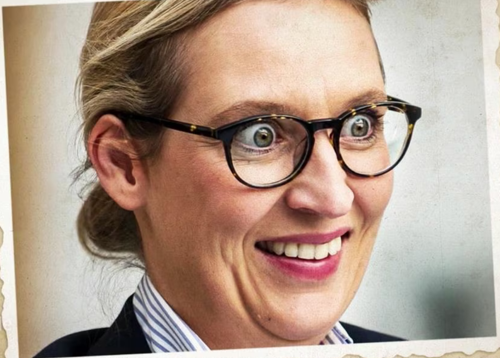 Ist Alice Elisabeth Weidel Euer Vorbild? (Partei, AfD, Alice Weidel)