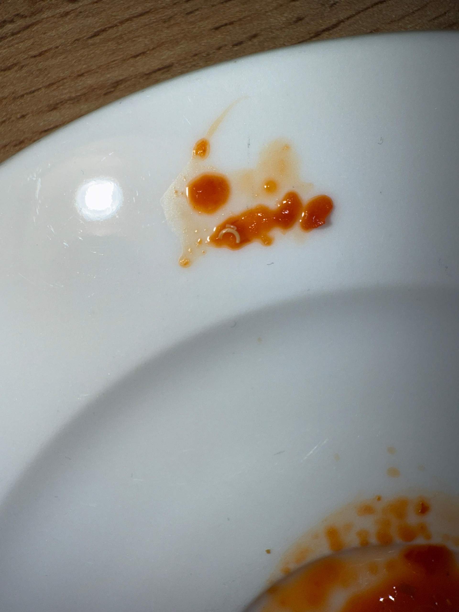 Ist das ein solmonellen Wurm? (Insekten, Käfer, Würmer)