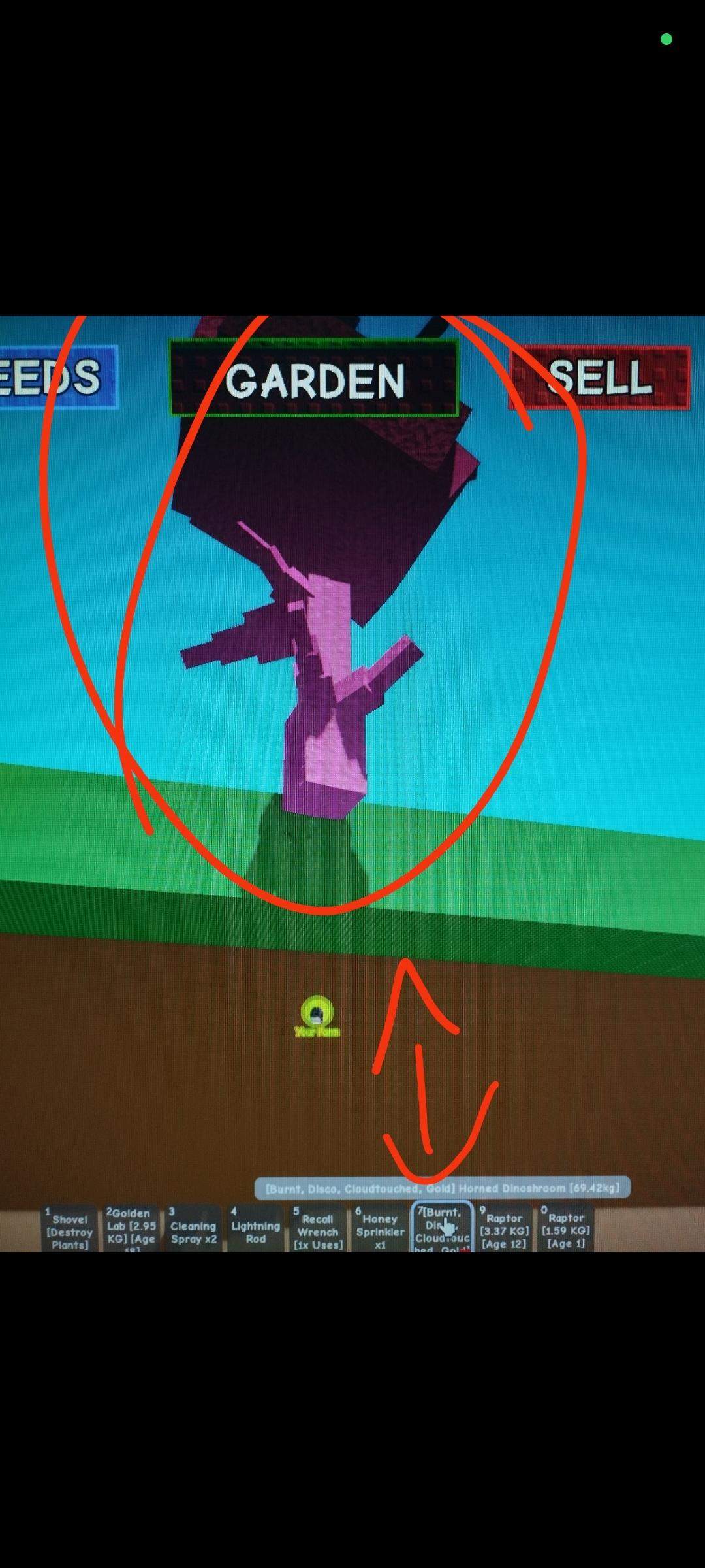 Ist das Fair oder mache ich Verluste,Roblox grow a garden? (PC, Wert)