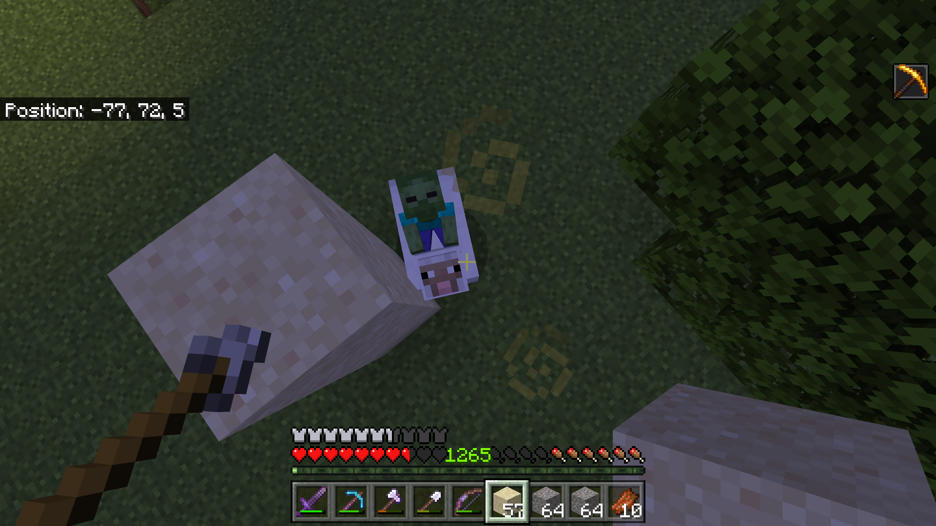 Ist das in Minecraft normal? Das auf dem Bild? (Minecraft Bedrock Edition)