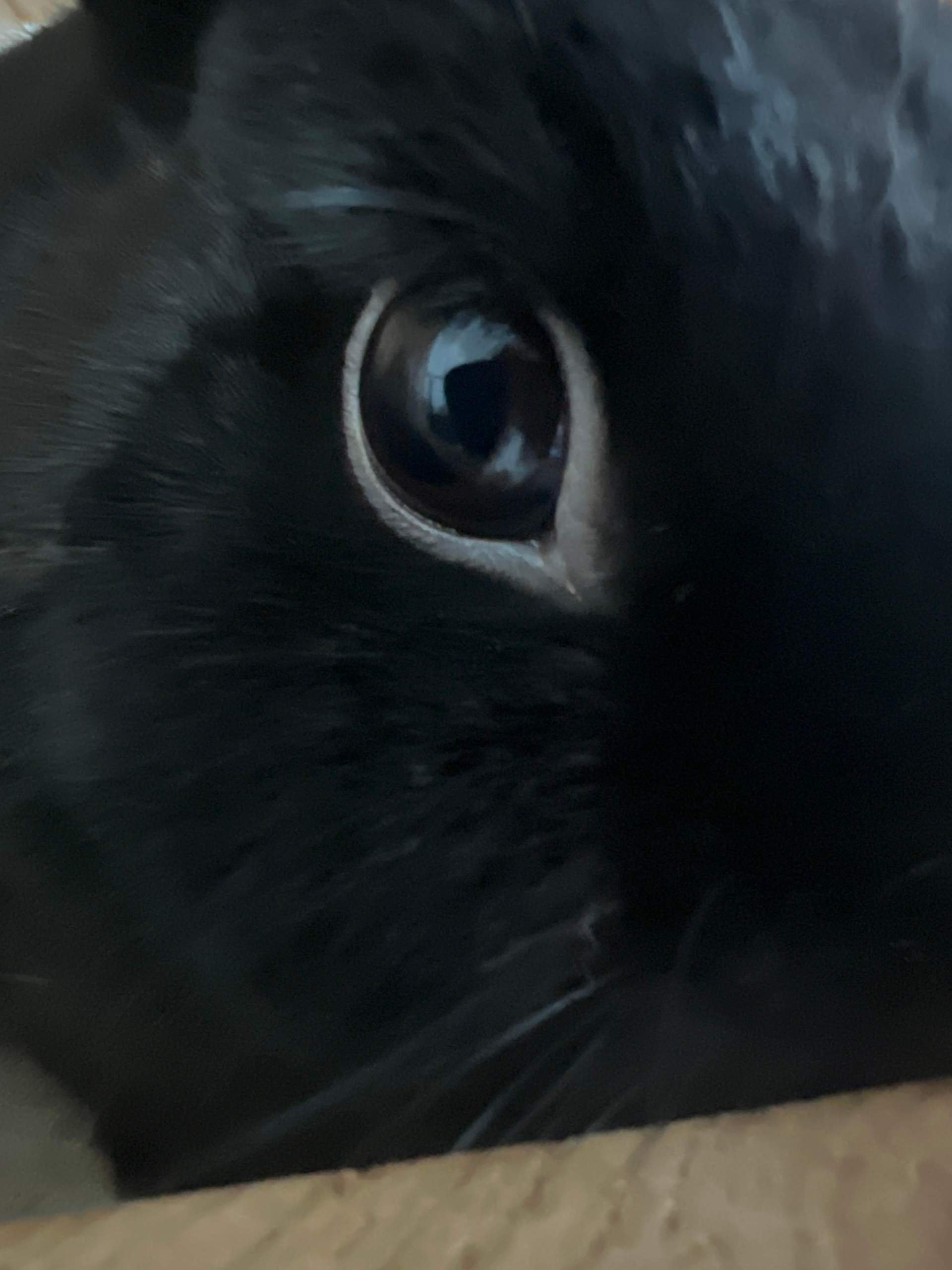 Ist das normal? (Sexualität, Selbstbefriedigung)