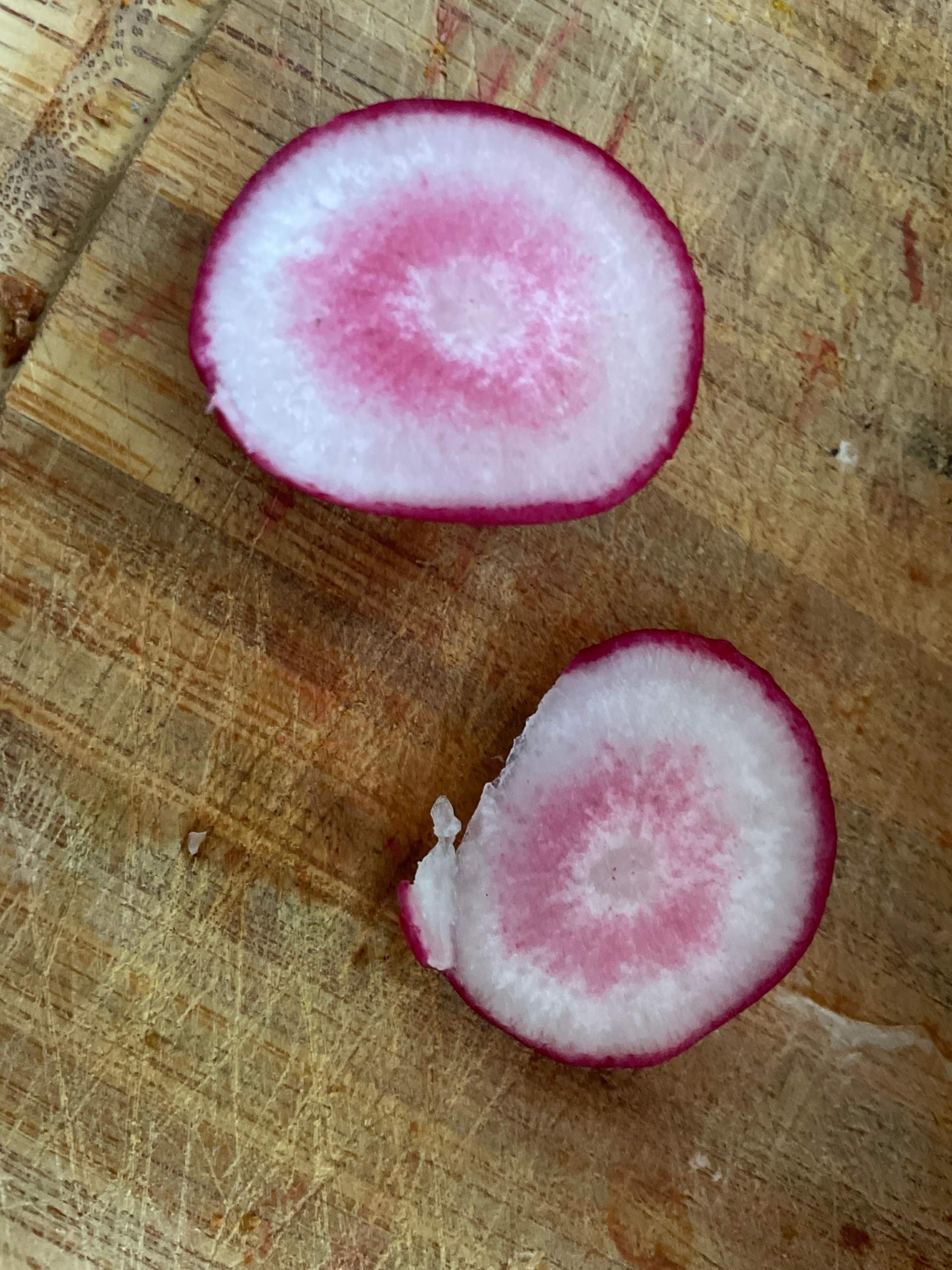 Ist das rote in den Radieschen normal? (Pflanzen, Gemüse)