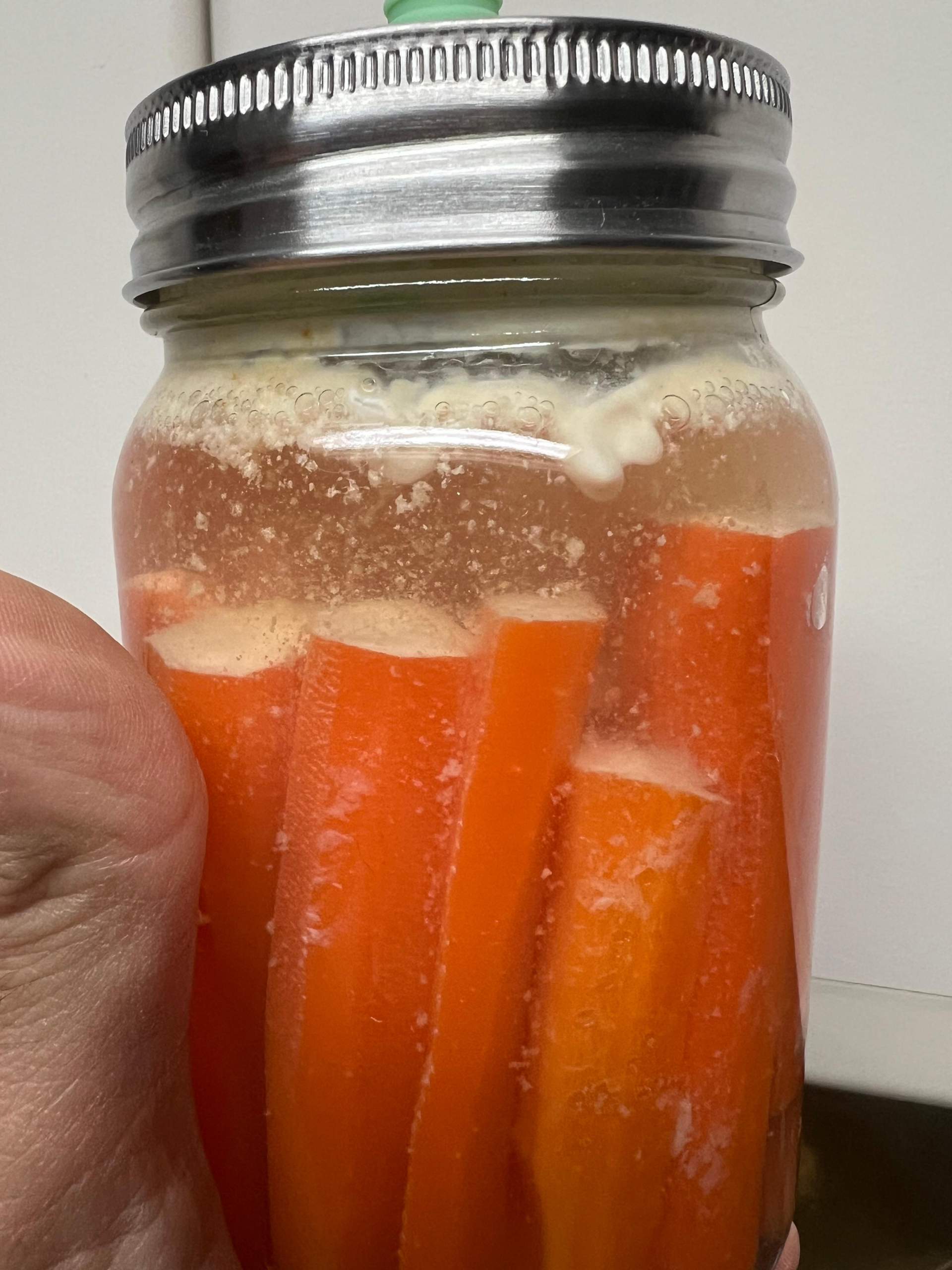 Ist das Schimmel auf meinem ferment? (Fermentation, Fermentieren)