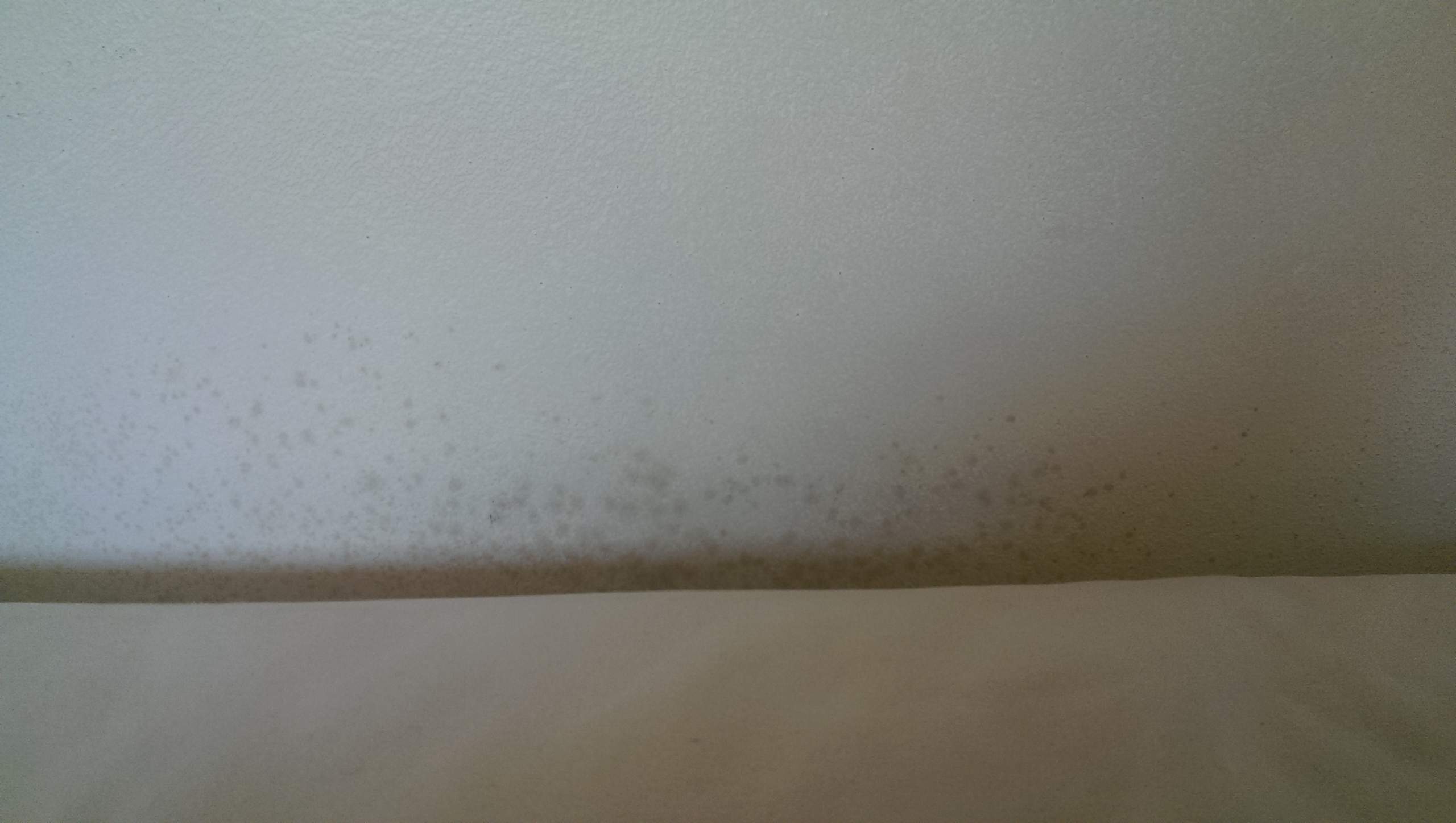 Schimmel Im Schlafzimmer Gesundheit
