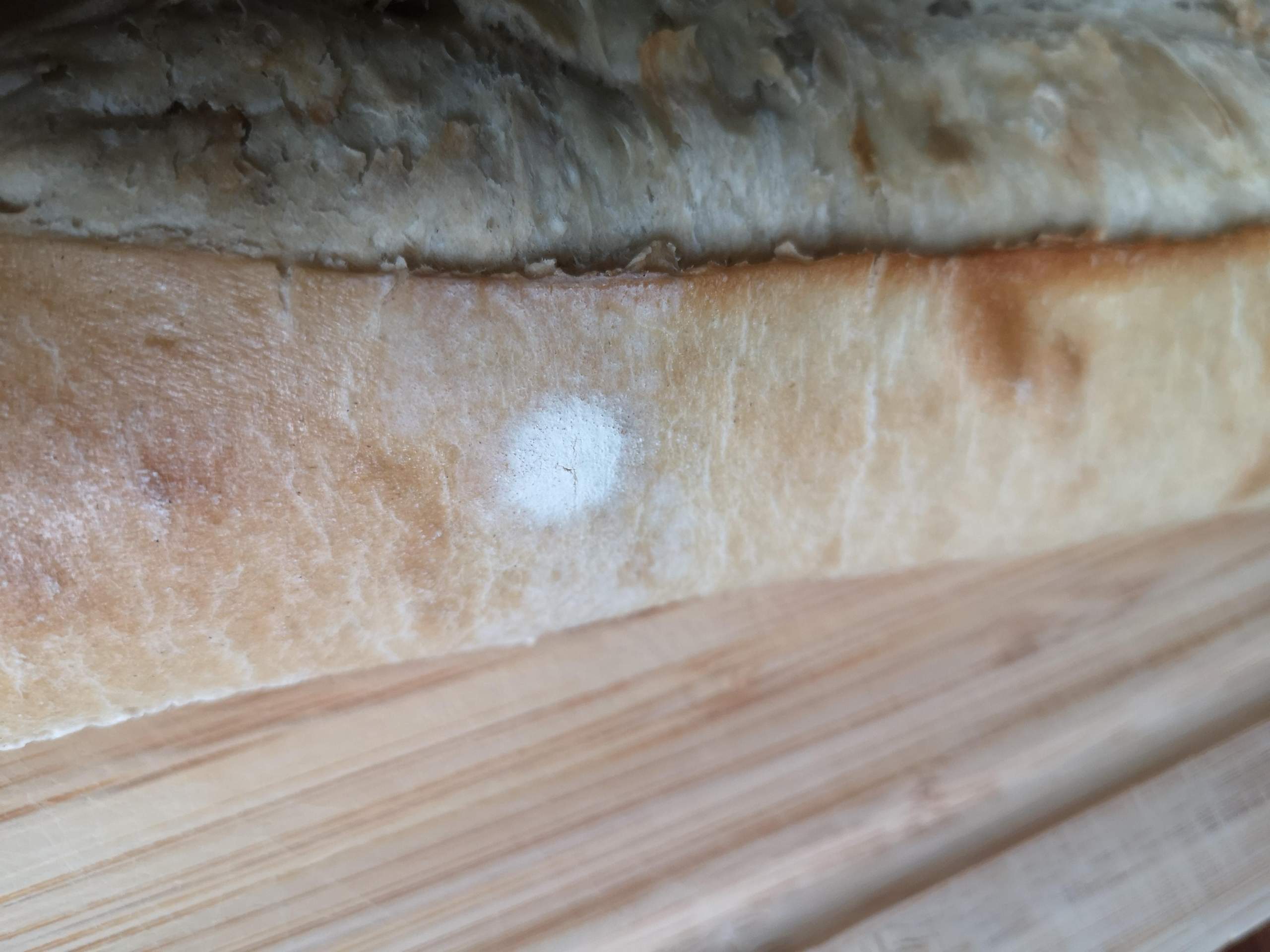 Ist das Schimmel oder Mehl? (Haltbarkeit, Brot, Rewe)