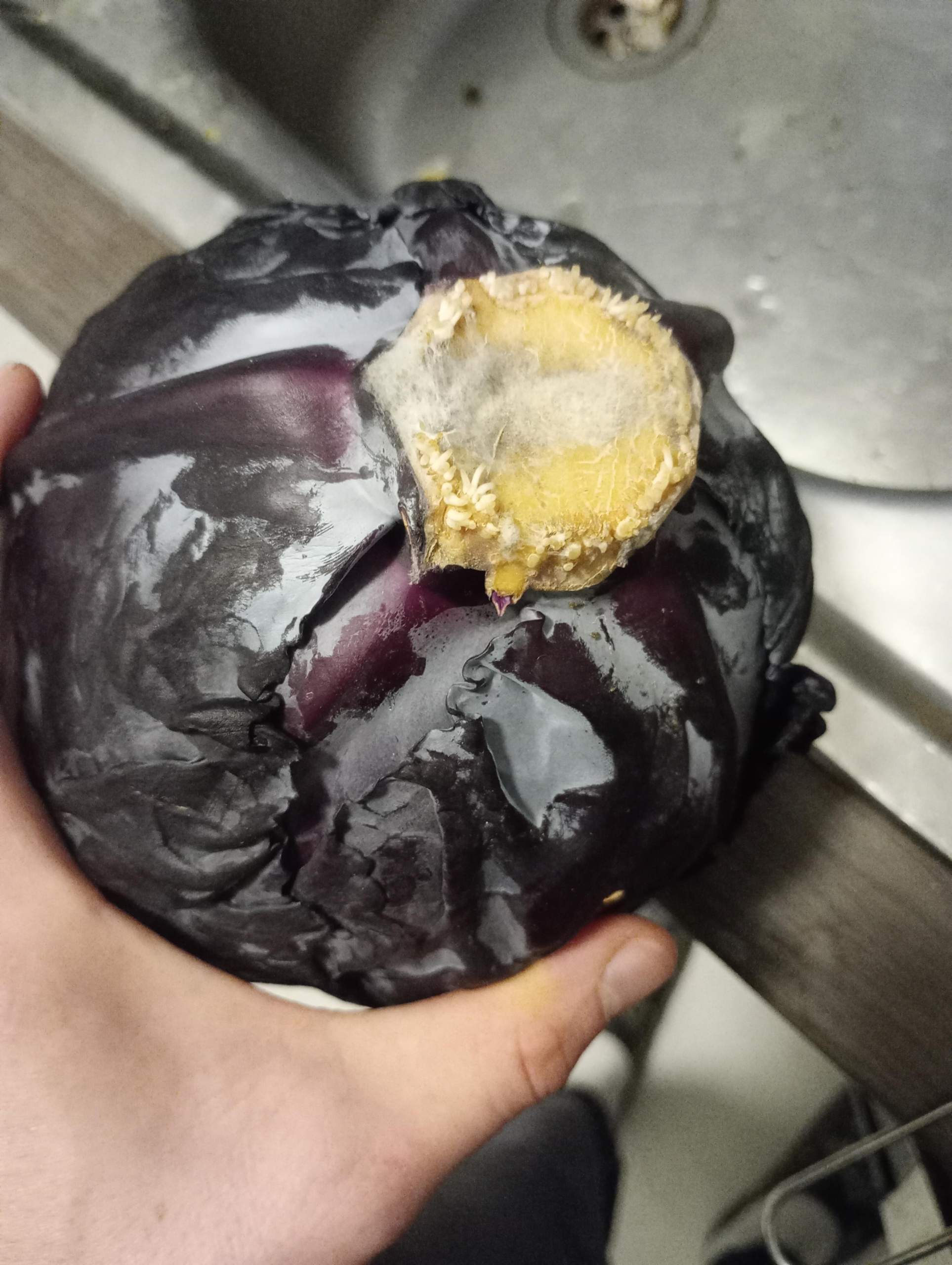 Ist das Schimmel oder nicht( essbar)? (Fleisch, Gemüse, Haltbarkeit)