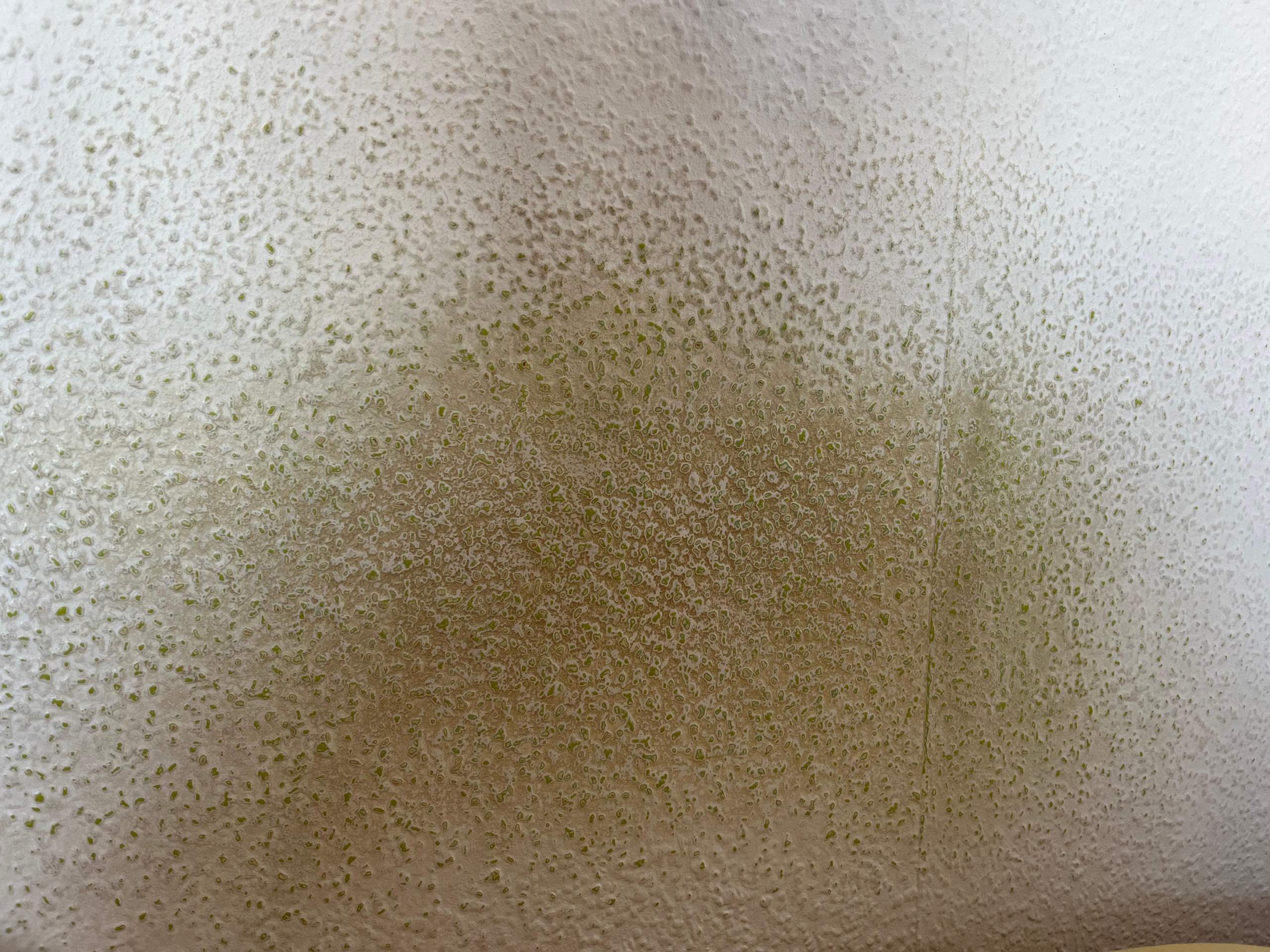 Ist das Schimmel oder nur Abrieb? (Wand)