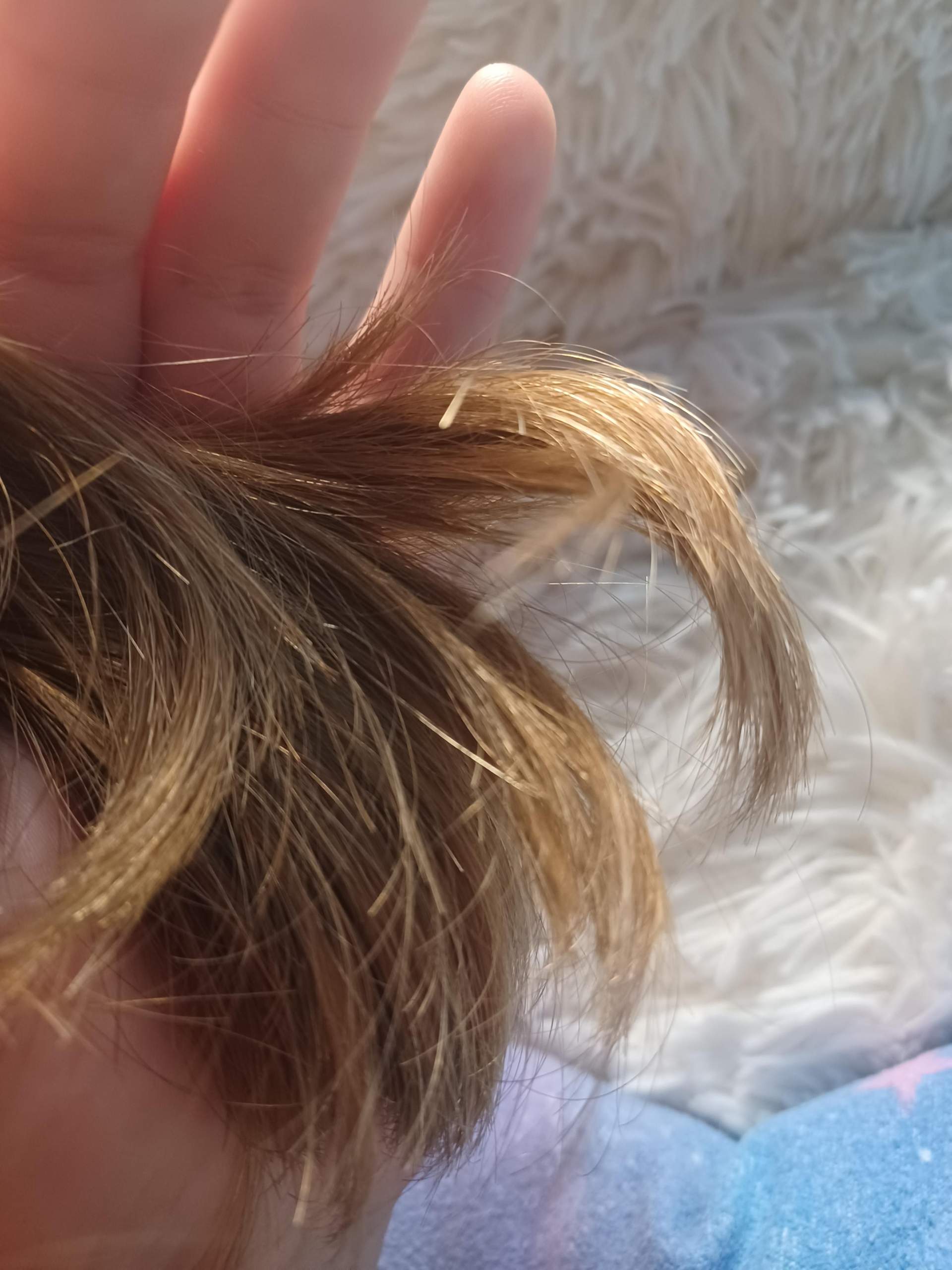 Ist das Spliss? (Haarpflege)