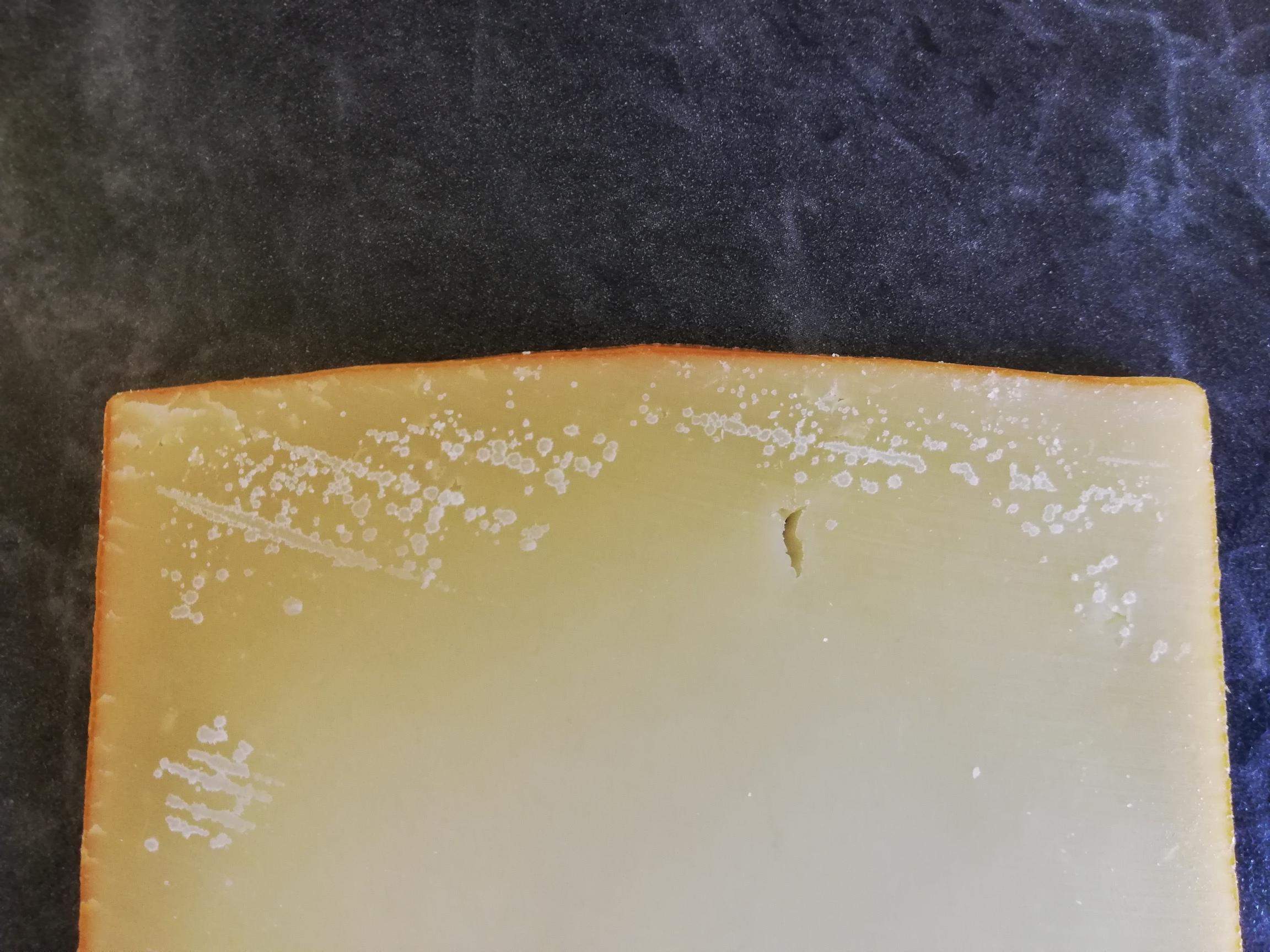 Ist das weißer Schimmel auf dem Käse? (Haltbarkeit, Kühlschrank ...