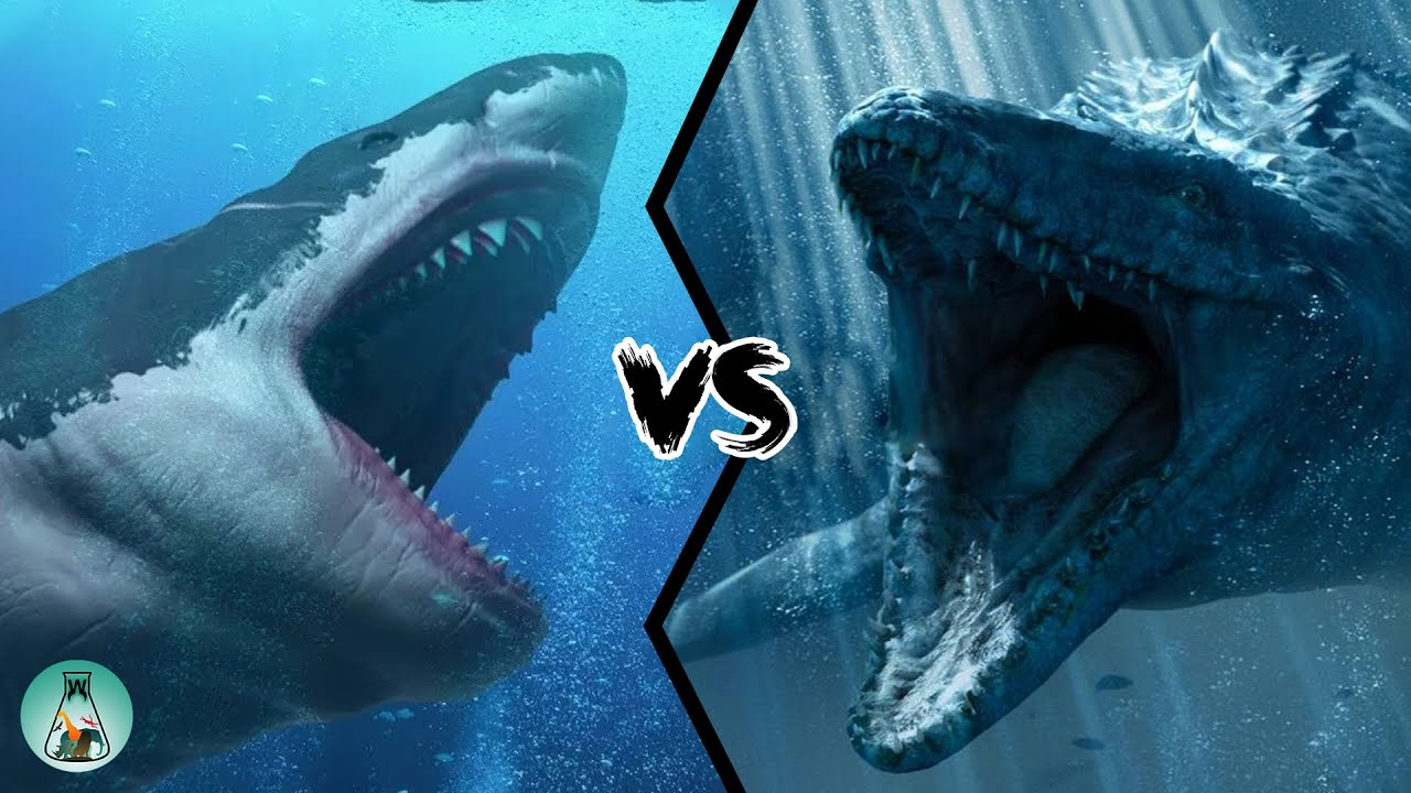 Ist der Megaladon stärker als der Mosasaurus? (Kampf, fight, Megalodon)
