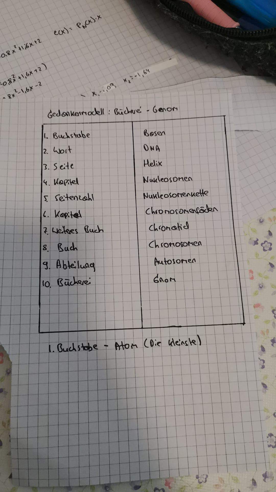 Ist der Vergleich so richtig? (Genom)