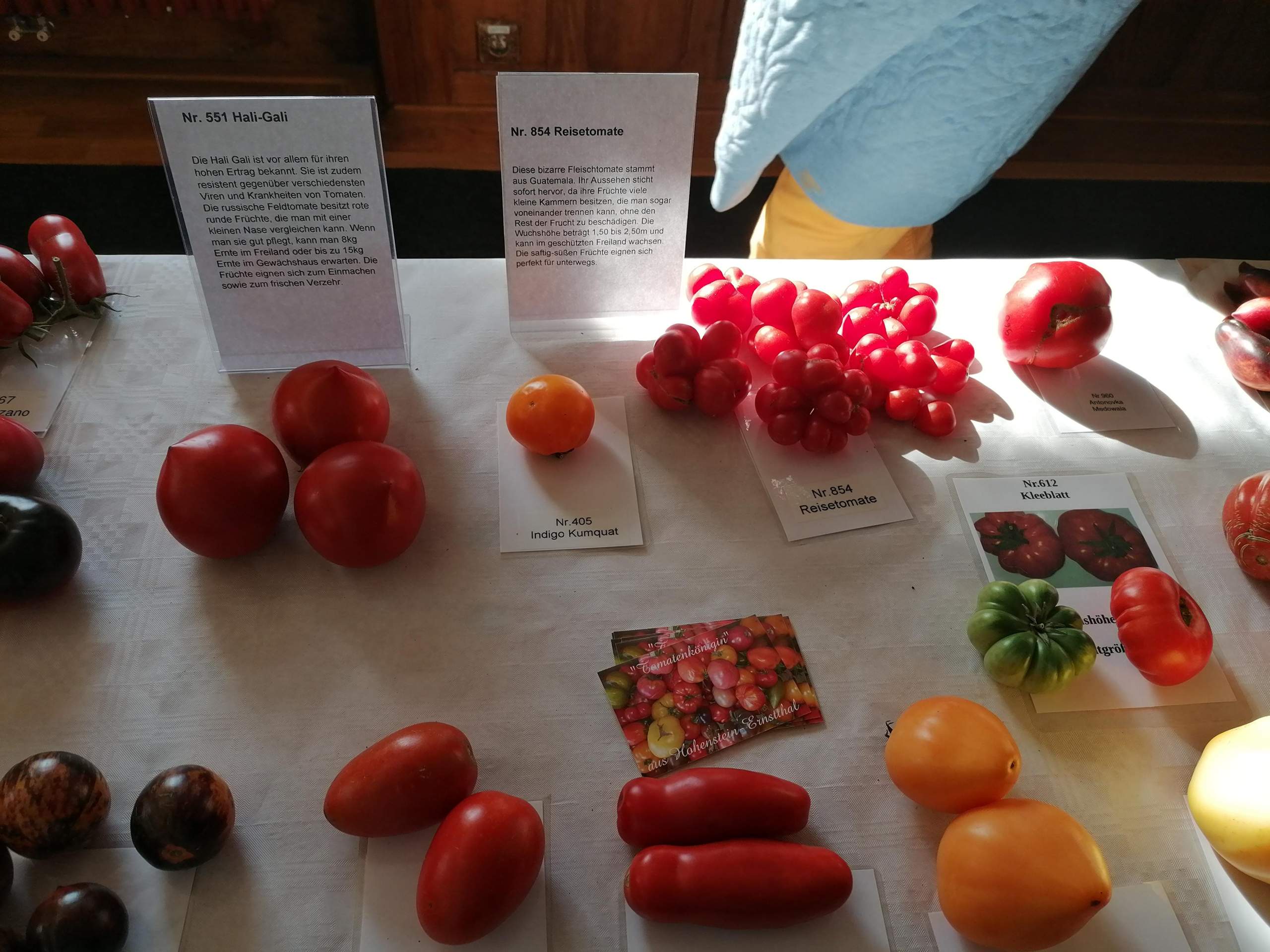 Ist die gelbe Johannisbeertomate das selbe, wie die Microberry ...