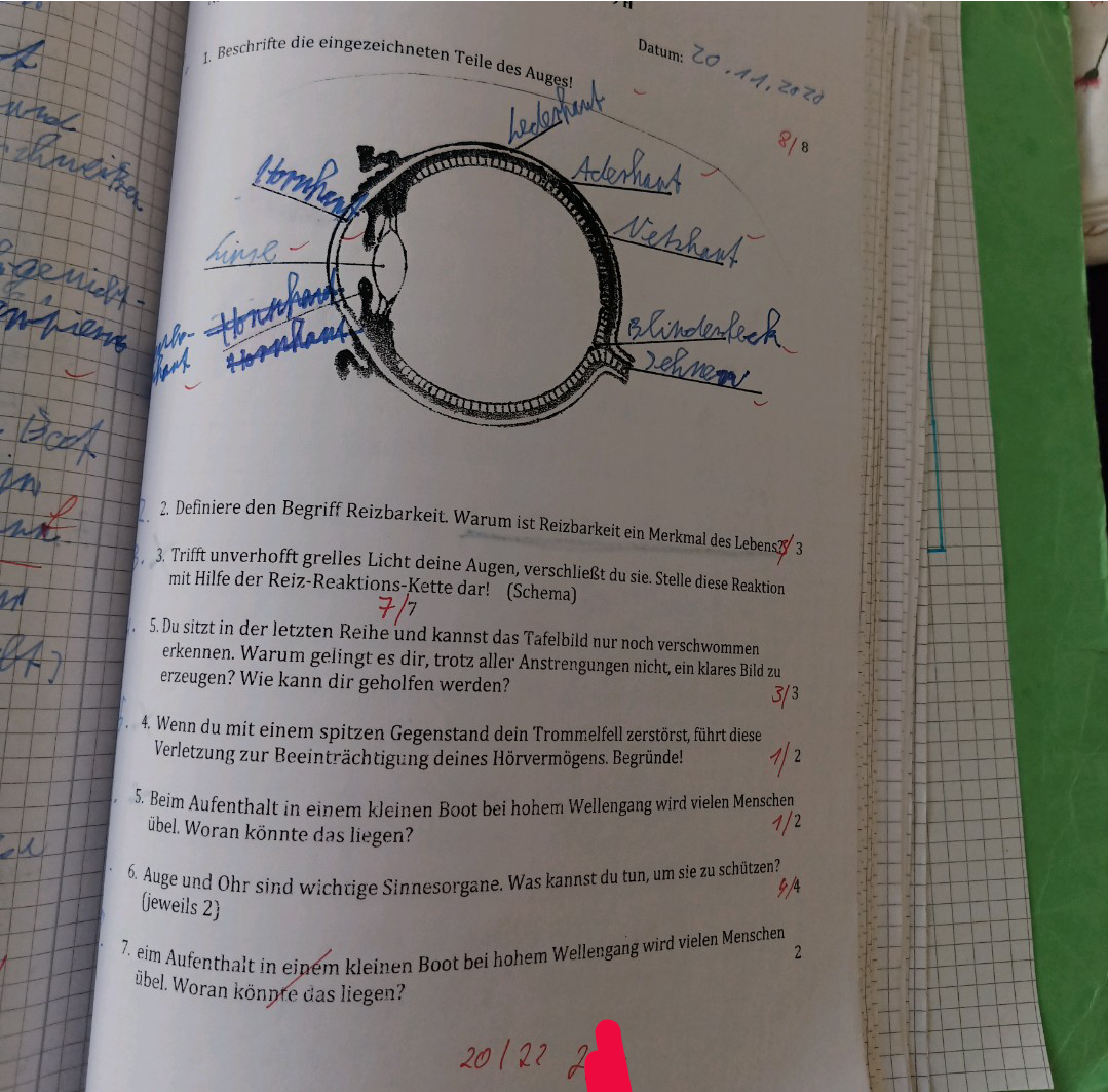 Ist diese Klassenarbeit leicht oder schwer? (Schule, Biologie, Abitur)