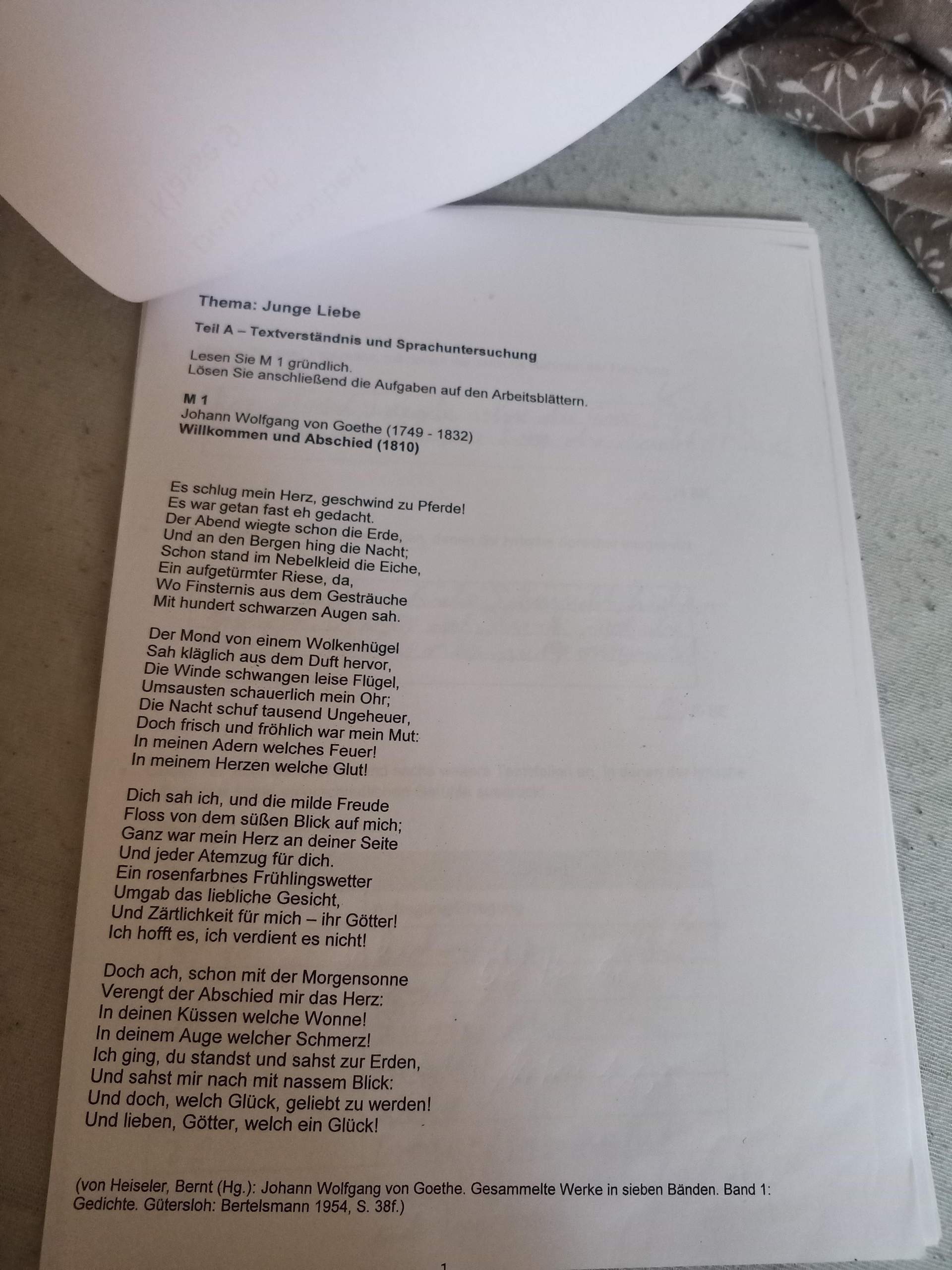 Ist diese Klassenarbeit leicht oder schwer? (Schule, Deutsch, Abitur)