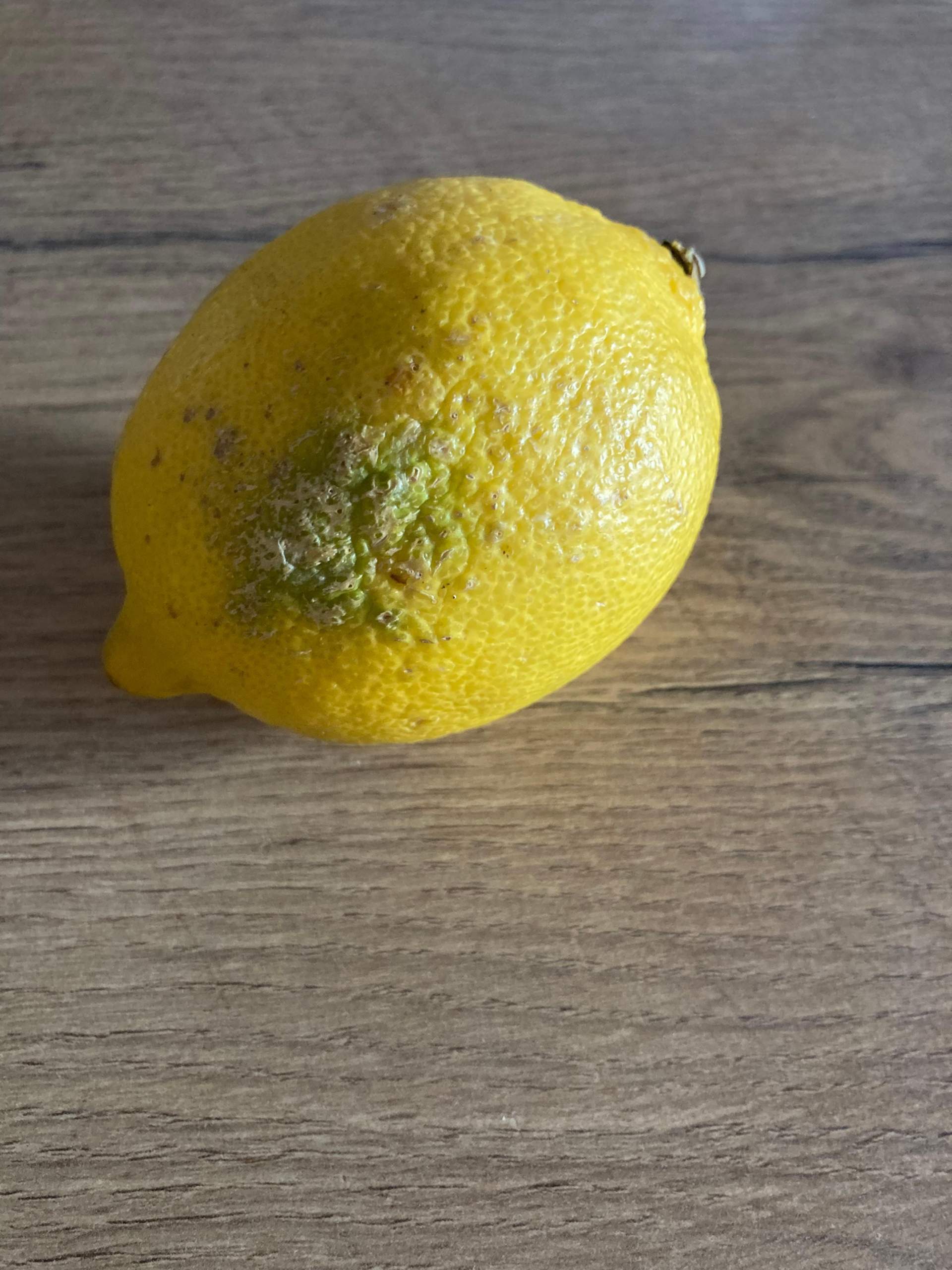 Ist diese Zitrone schimmelig? (Kuchen)