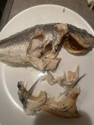 Ist dieser Fisch fertig? (Essen, kochen, essbar)
