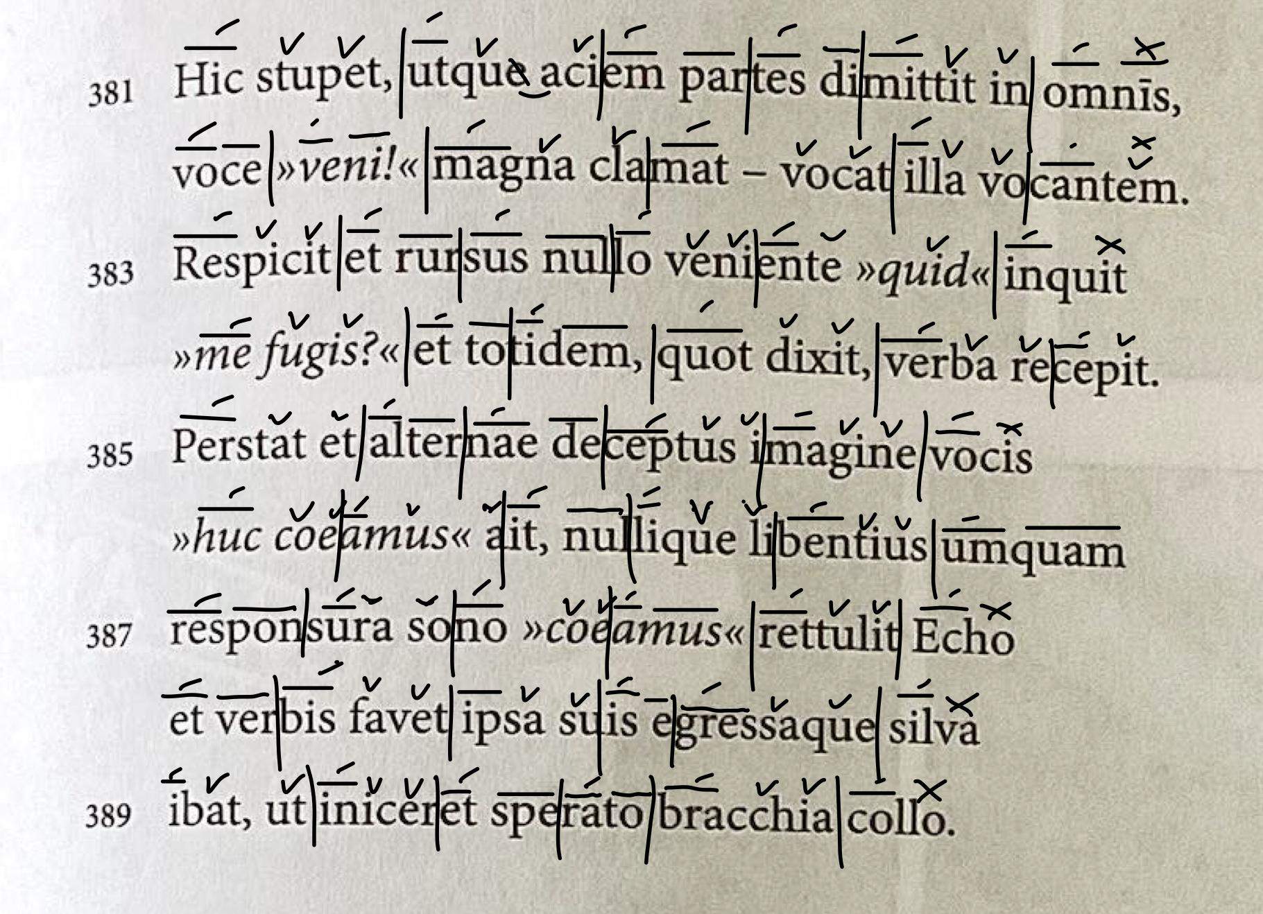 Ist dieser lateinische Text richtig skandiert? (Sprache, Lernen, Grammatik)