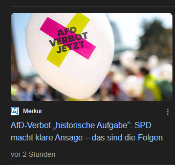 Ist ein AfD-Verbot das Einzige, wozu die SPD intellektuell und politisch noch in der Lage ist ...