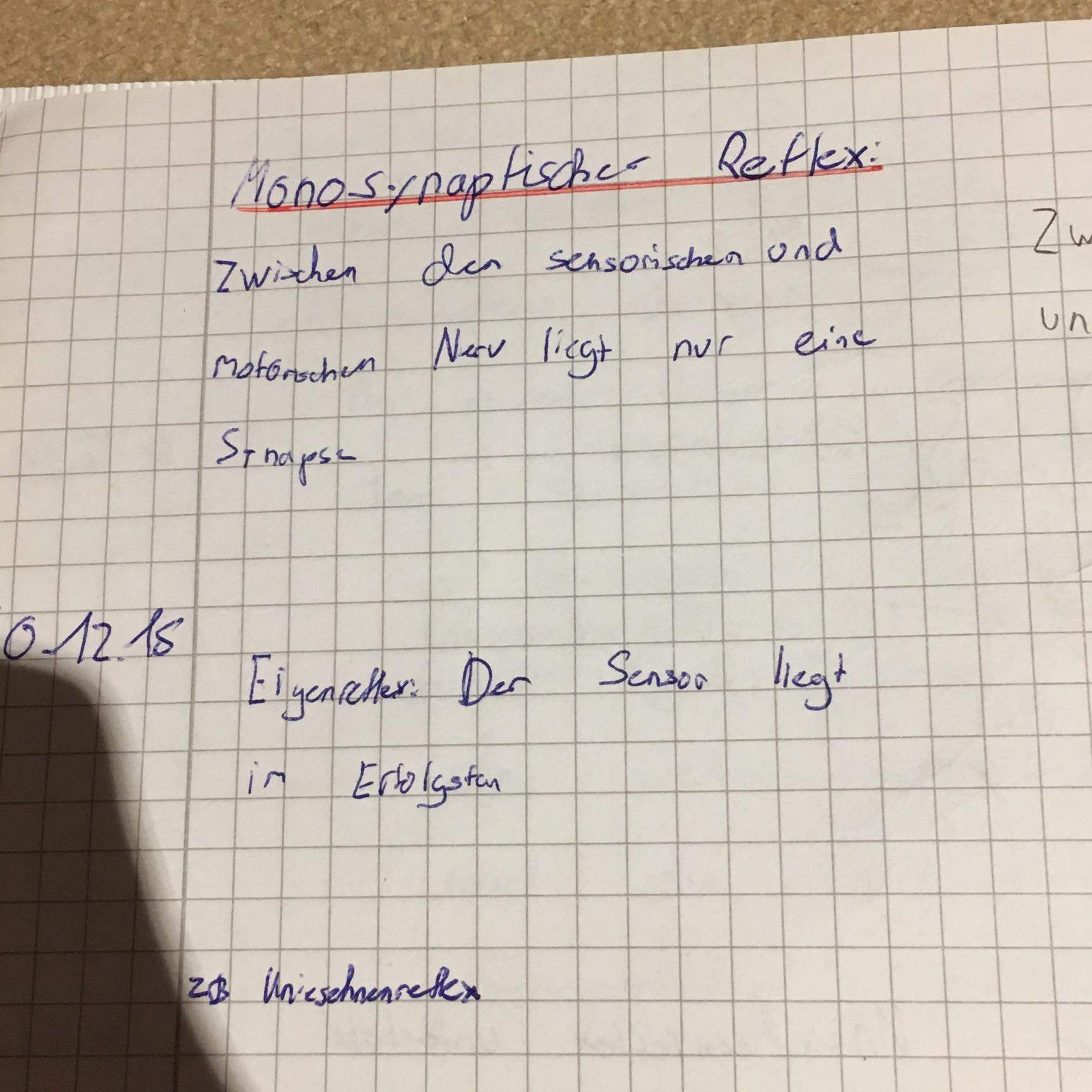 Ist ein monosynaptischer Reflex automatisch ein Eigenreflex? (Biologie ...