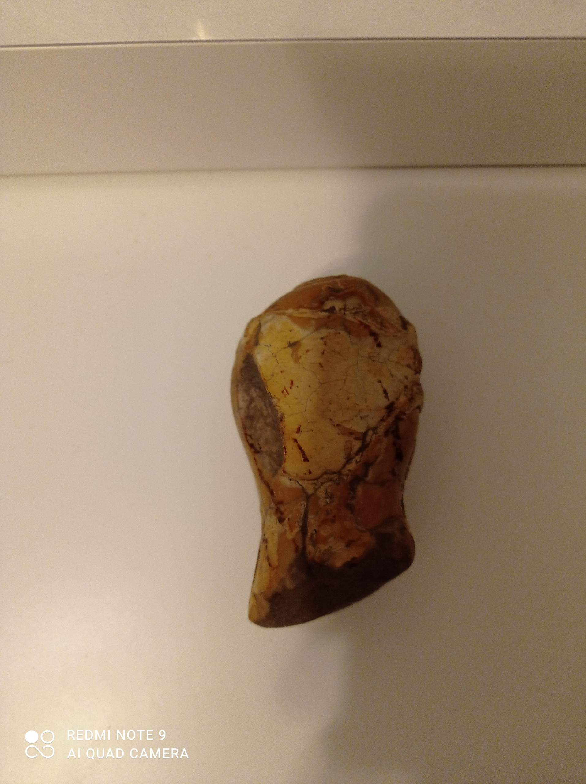 Ist es möglich, dass dieser Stein eine Art Knochen ist? (Steine)