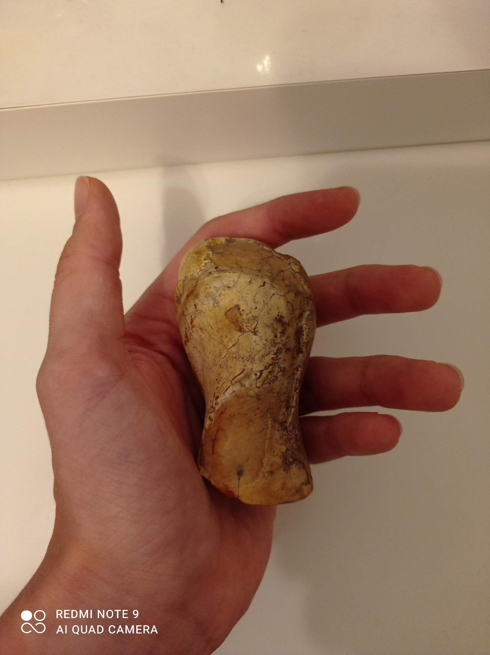 Ist es möglich, dass dieser Stein eine Art Knochen ist? (Steine)