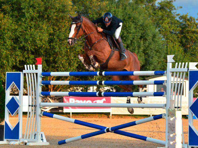 Ist es natürlich das Pferde über 3m hohe Hindernisse springen, oder vom ...