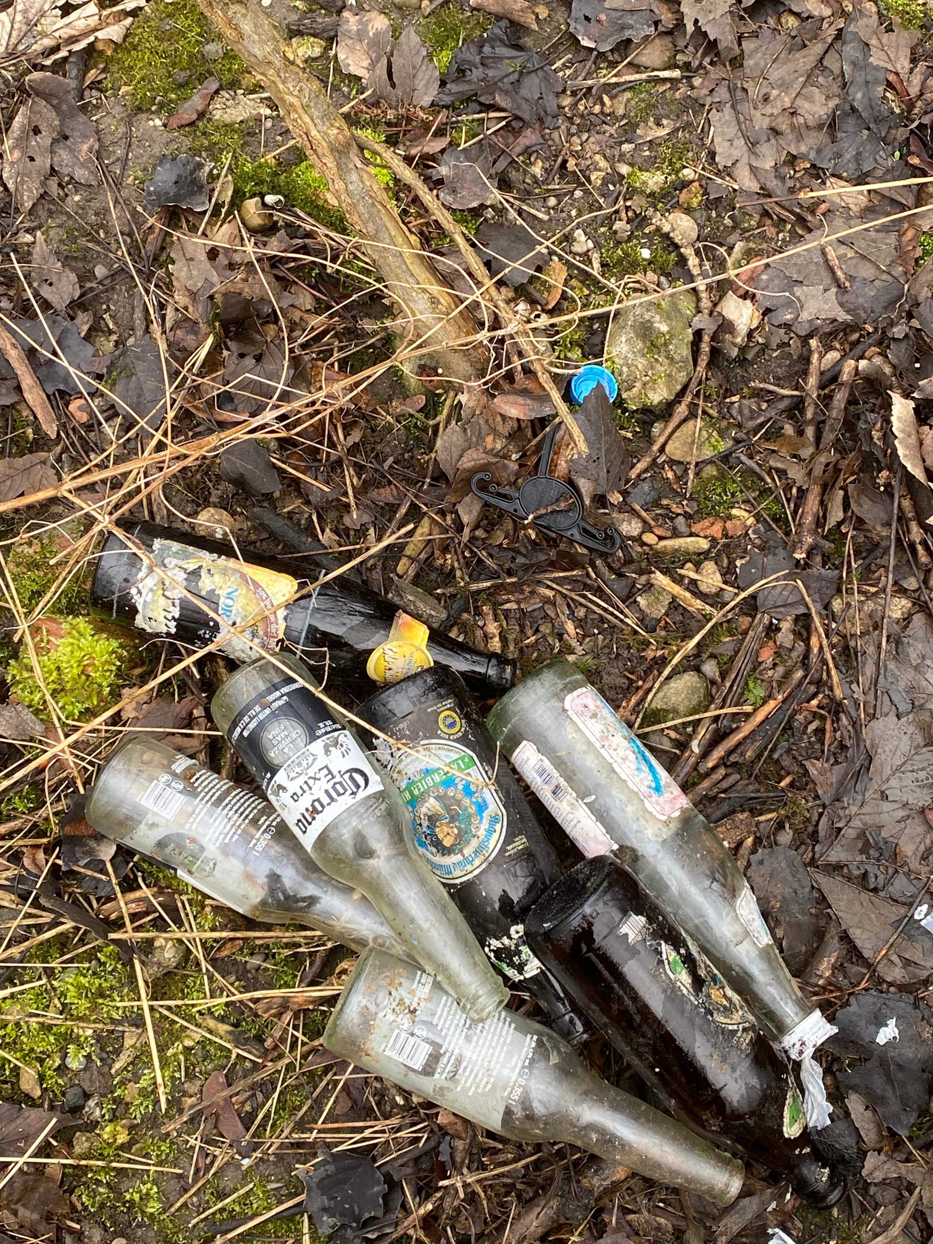 ist in diesen Flaschen pfand? (Bier, Pfandflaschen)