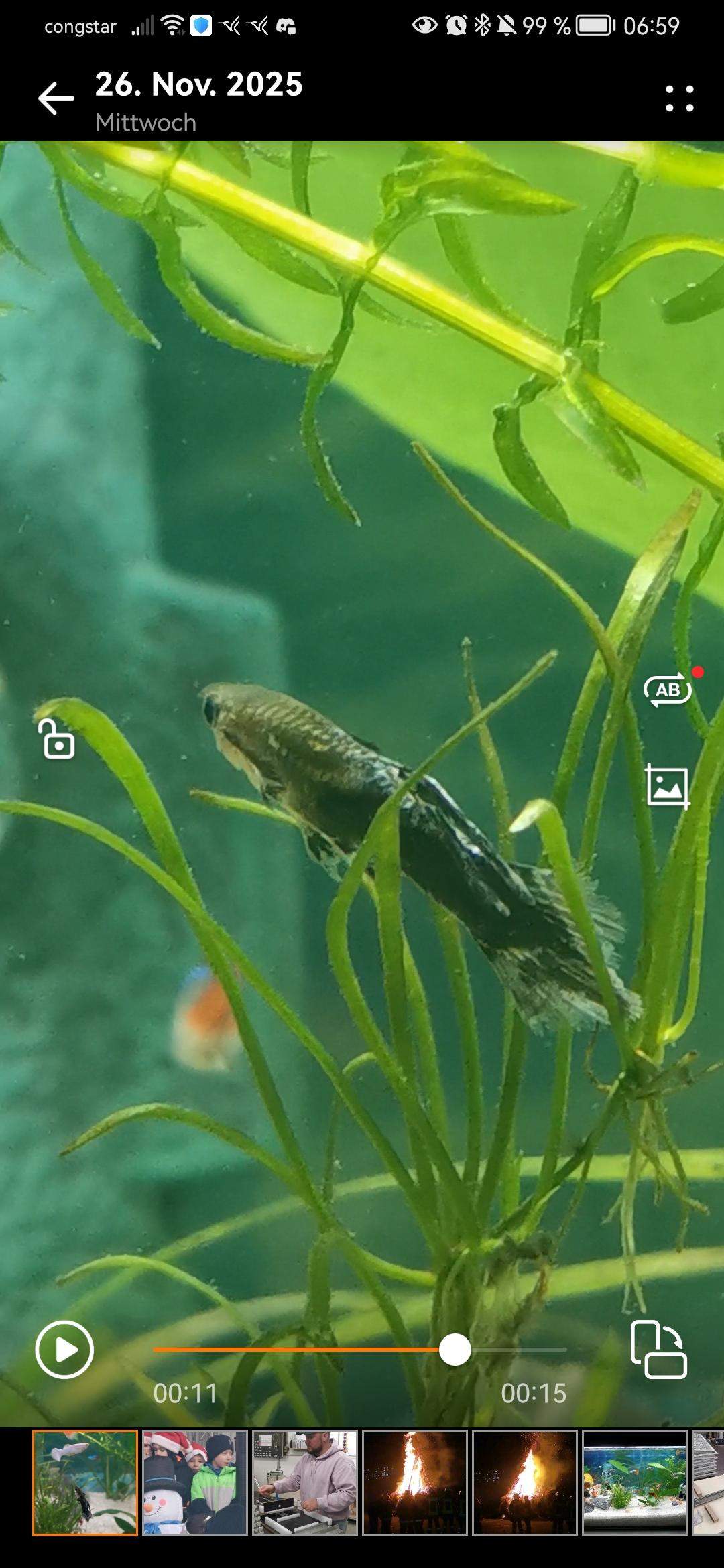 Ist mein Fisch krank? (Krankheit, Aquarium, Aquariumfische)