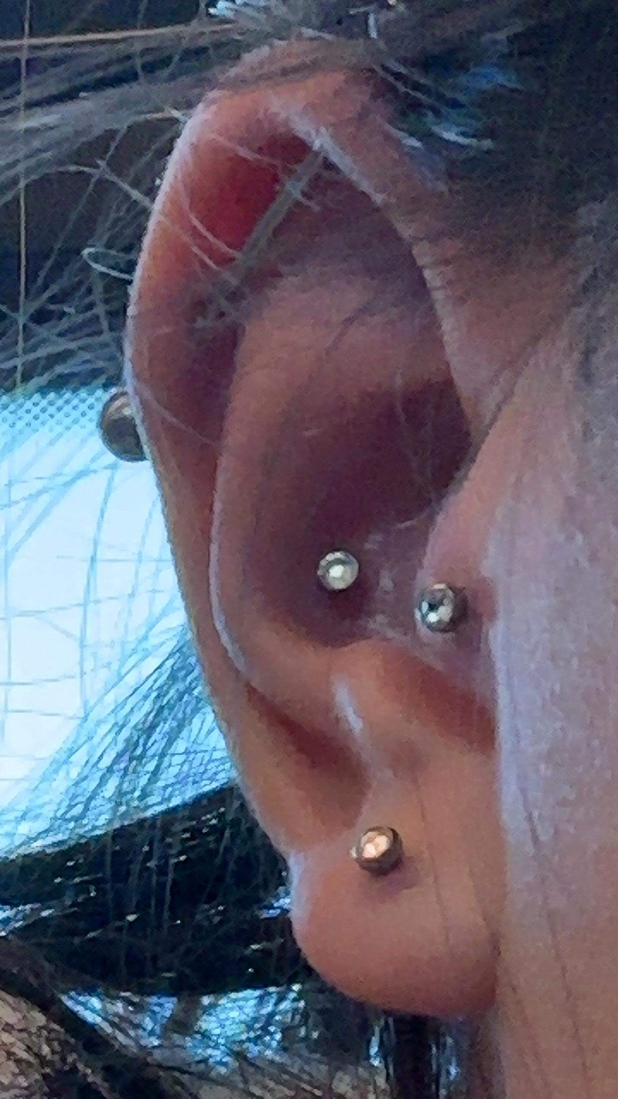 Piercing Tragus Schmerzen