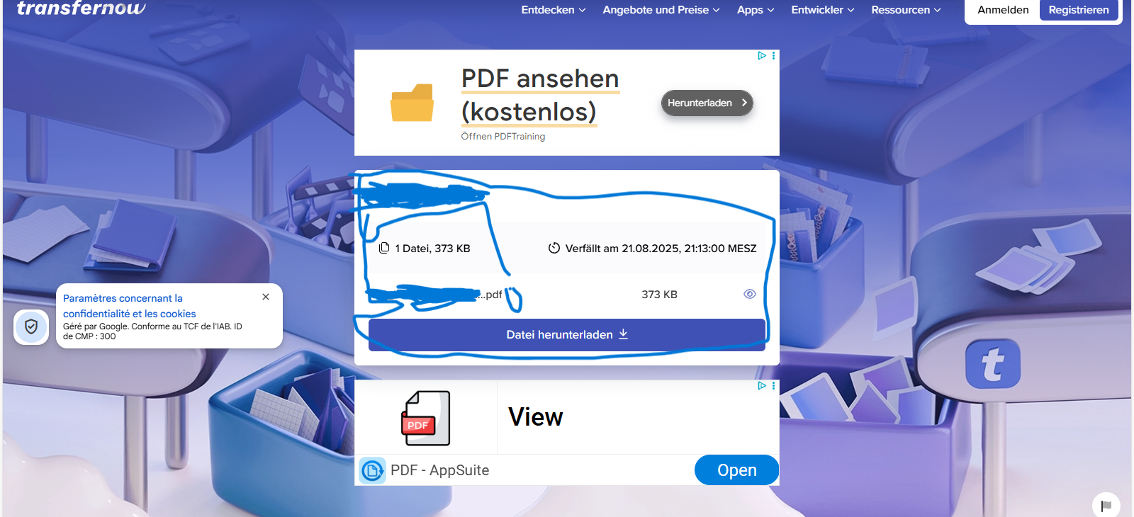 Ist transfernow safe? (Computer, Webseite, Sicherheit)