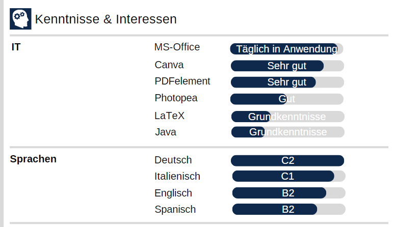 IT Kenntnisse Im Lebenslauf? (Arbeit, Bewerbung, Informatik)