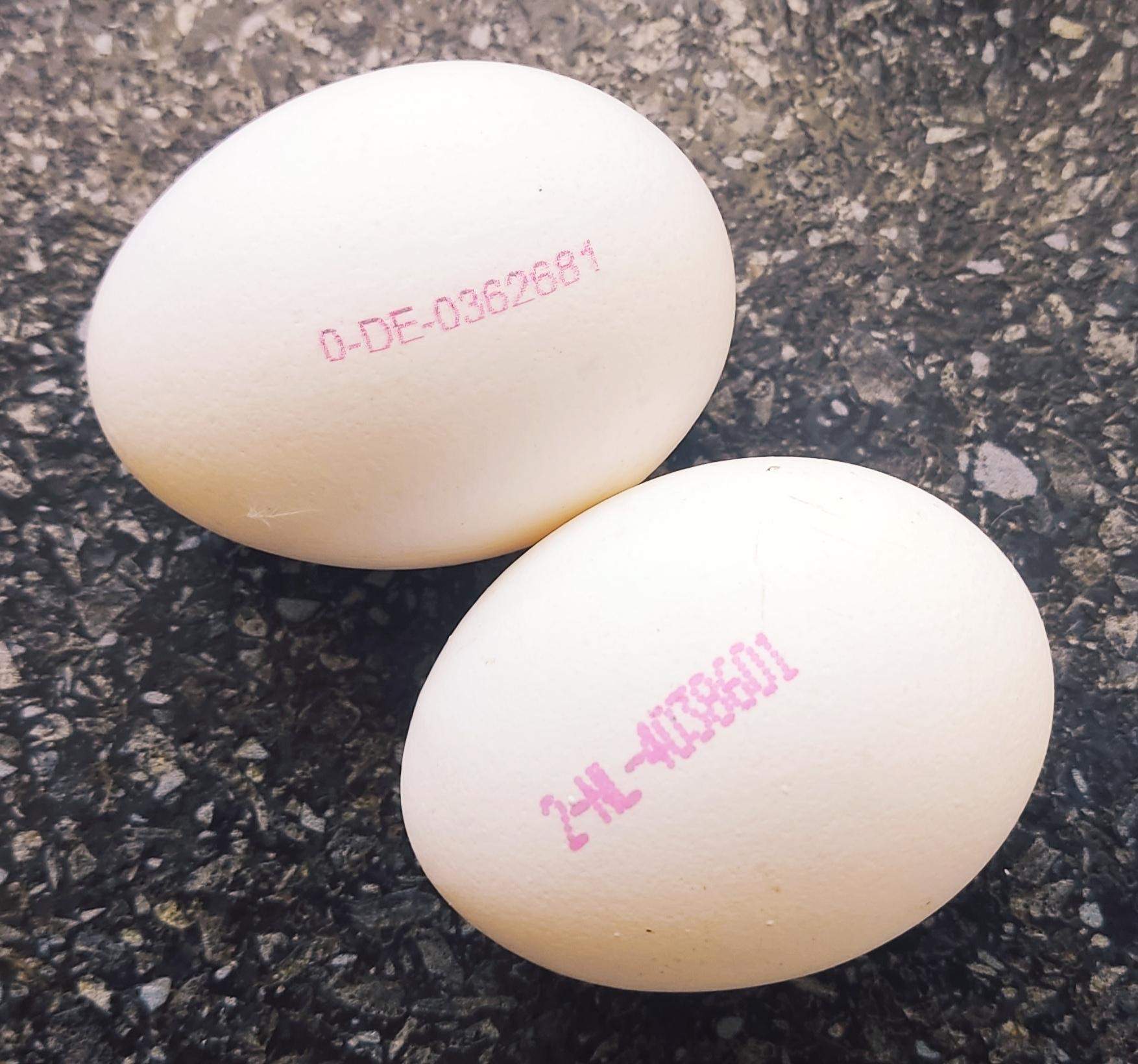 Ja, Hallo guten Tag, ich hab da eine Frage wegen den Eiern. Ist das ...